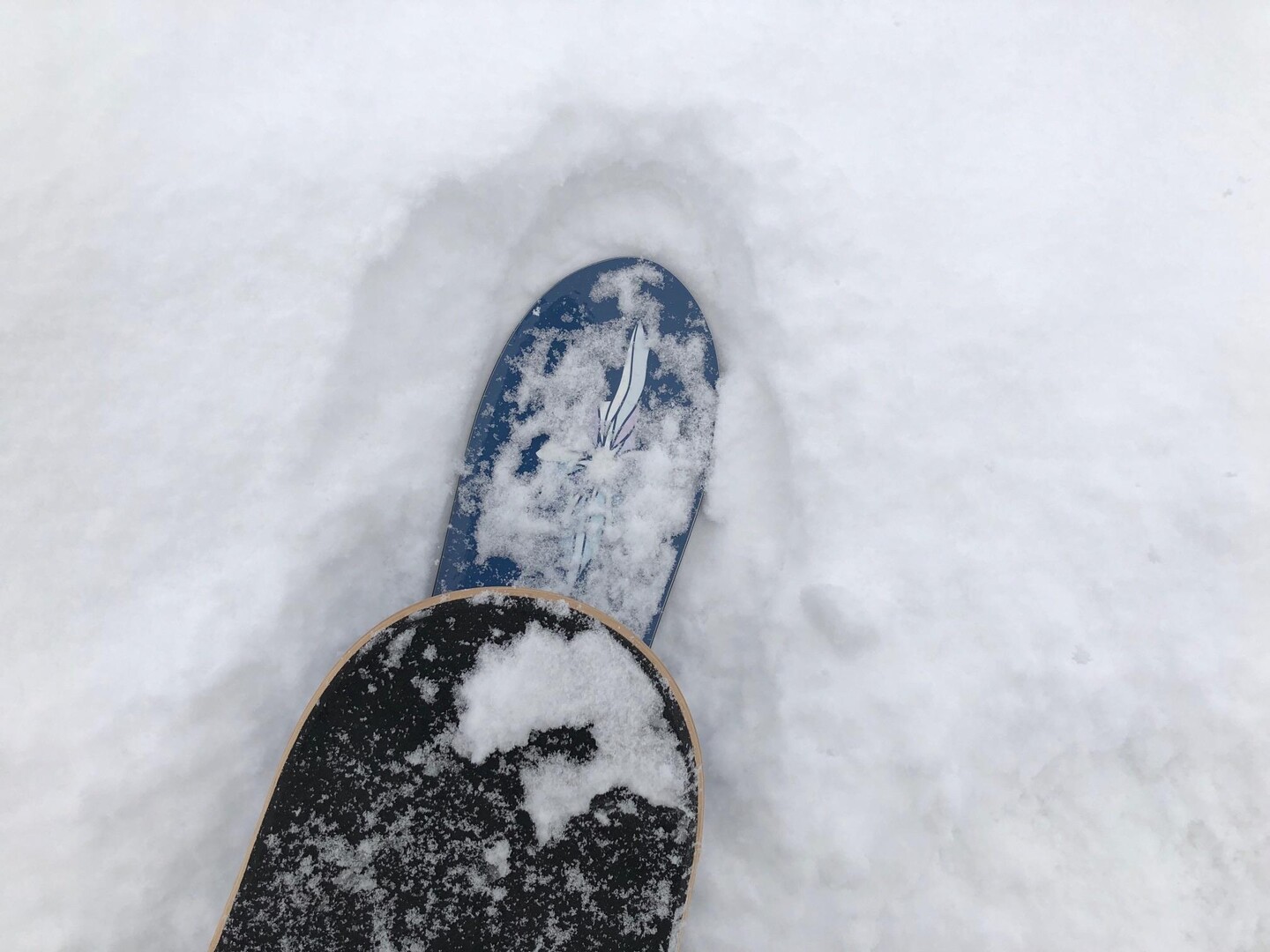 八海山スキー場 FIRST Track スノスケⅡ -2023-02-02 / 山pさんのスノーボードの活動データ | YAMAP / ヤマップ