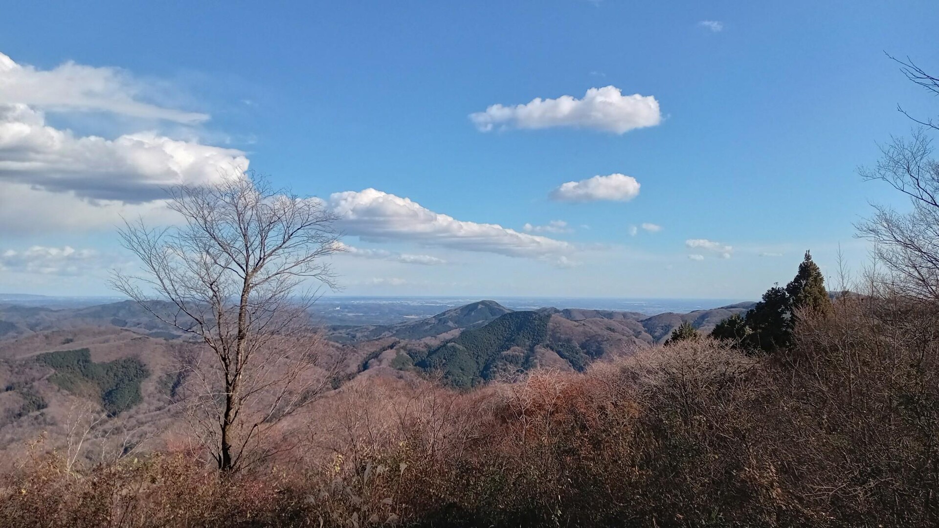 雨巻山・三登谷山 / 036さんの雨巻山・足尾山・三登谷山・高舘山の活動データ | YAMAP / ヤマップ