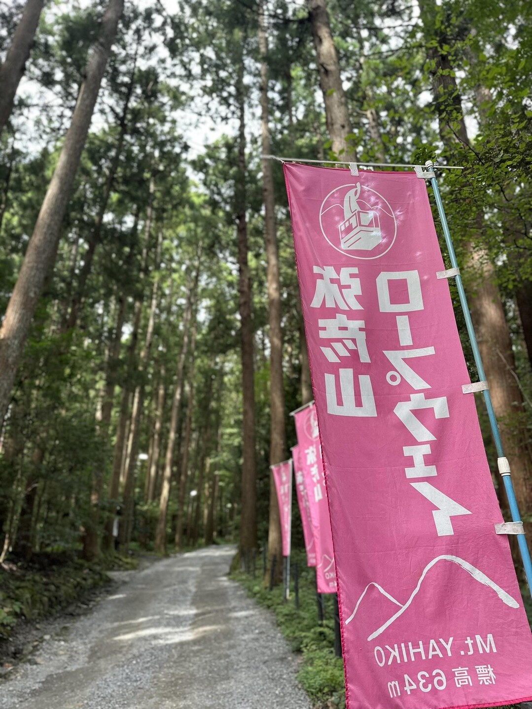 弥彦山 down hill🏃⛰ / Mt.keiさんの弥彦山・多宝山・雨乞山の活動データ | YAMAP / ヤマップ