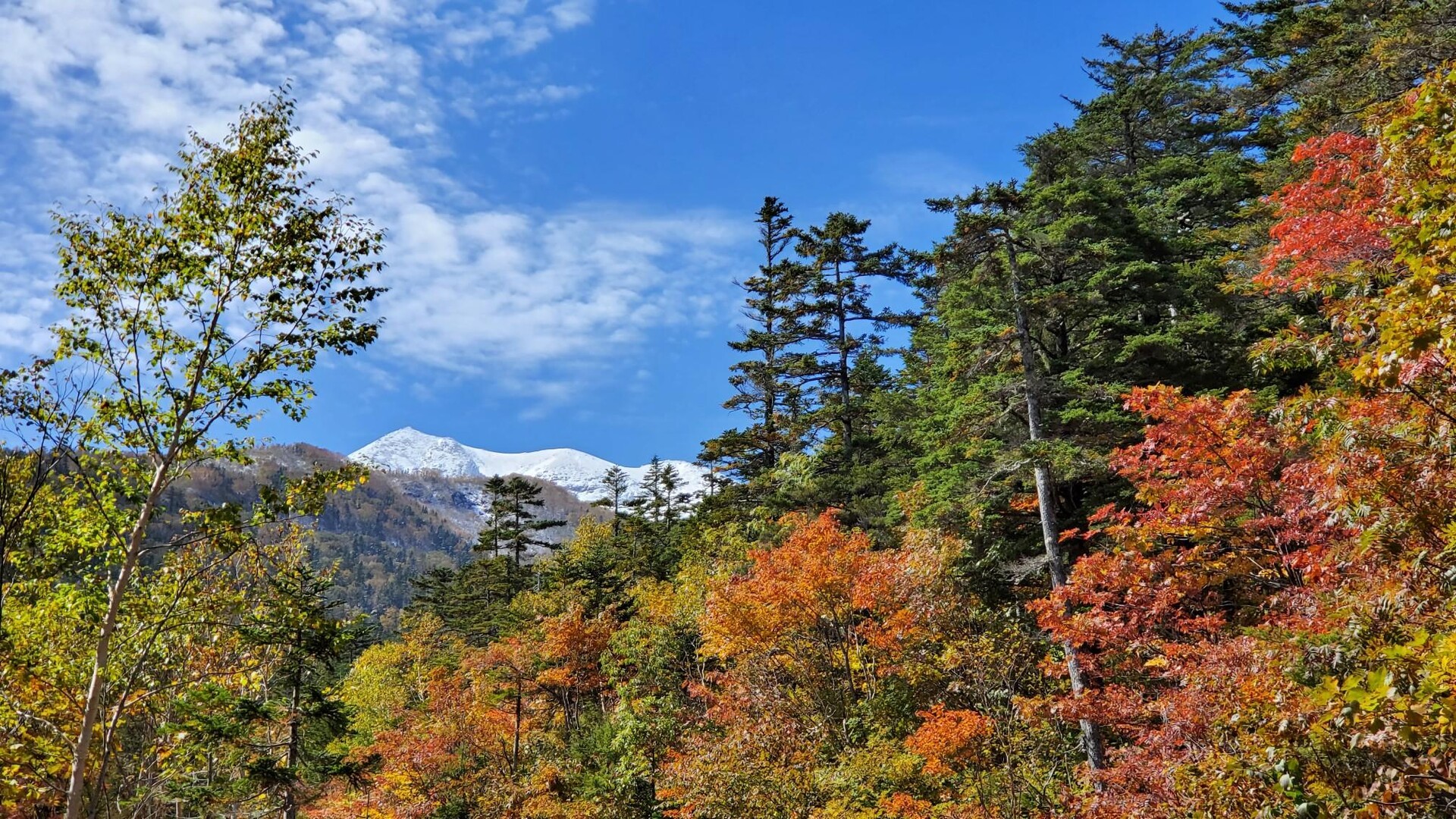 悲劇 ️乗鞍岳に登れない / isaさんの乗鞍岳の活動データ | YAMAP / ヤマップ
