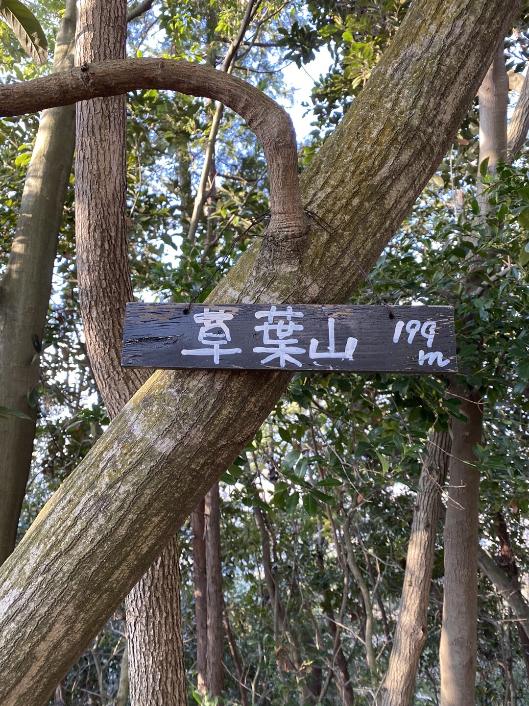 草葉山 / t@ke-bowさんの宝満山・三郡山・若杉山の活動日記 | YAMAP / ヤマップ