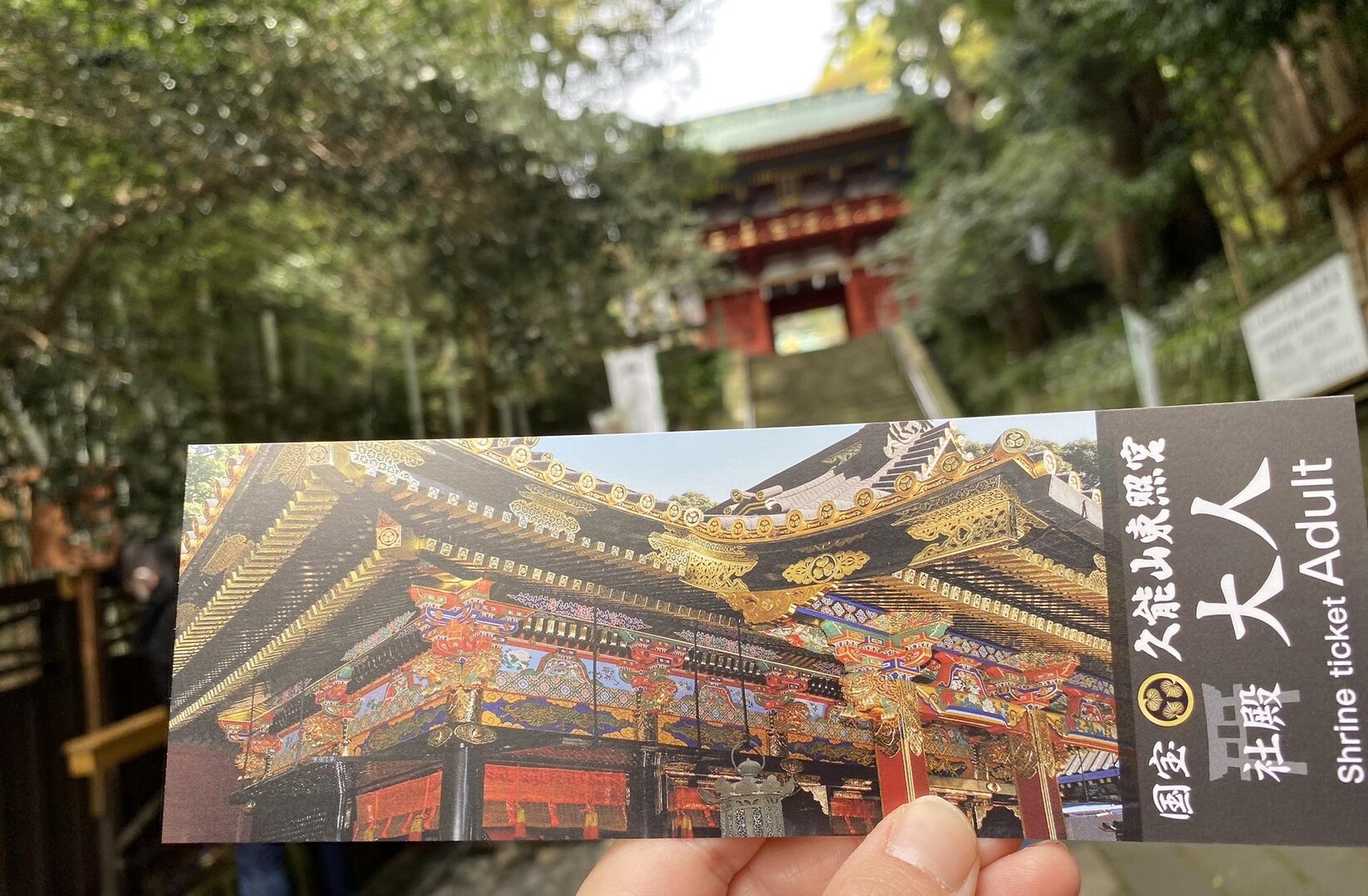 【国宝】更なる栄華と平和を願う 久能山東照宮⛩️ / moco*さんの日本平の活動データ | YAMAP / ヤマップ