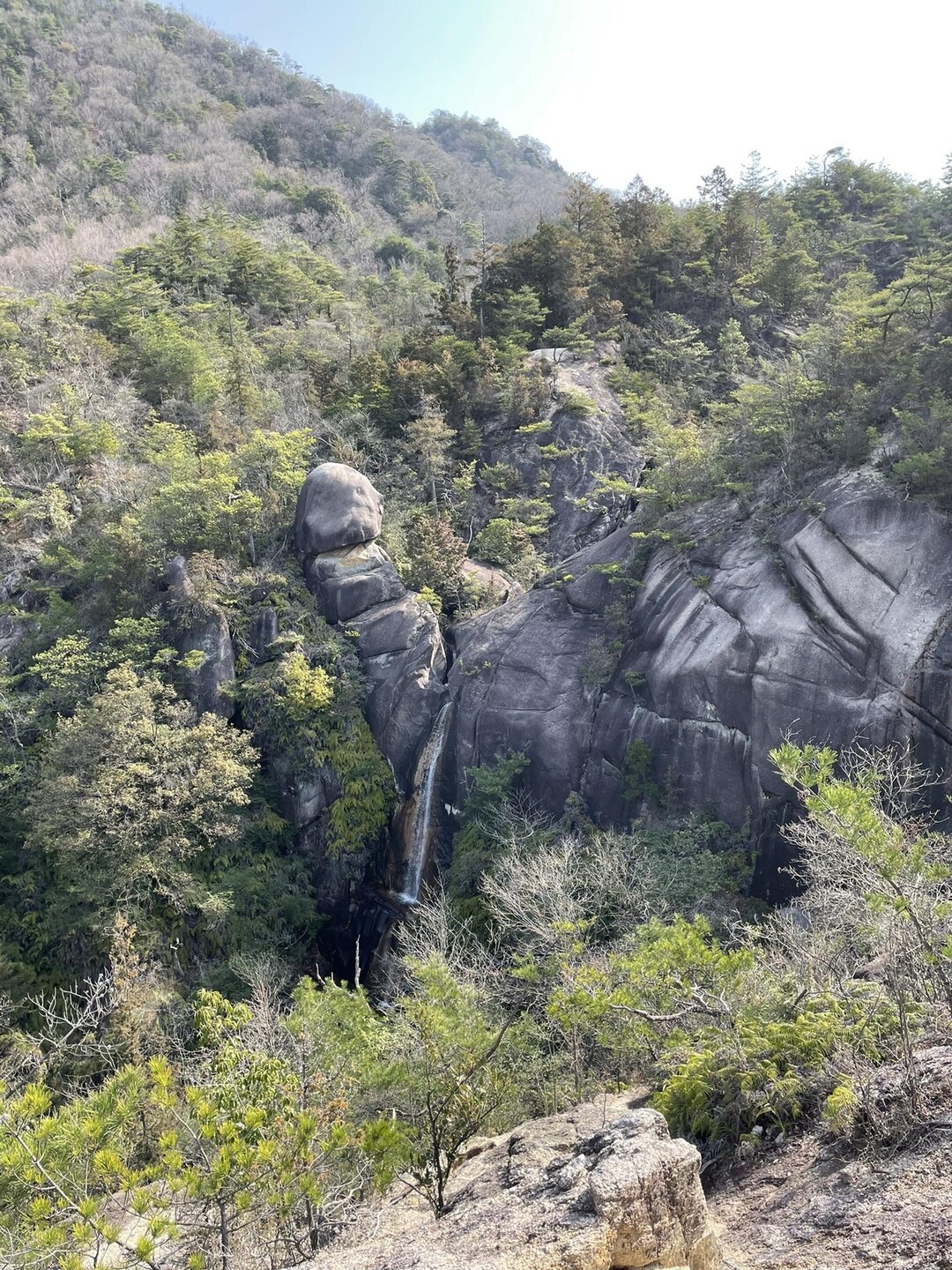 今年初⛰️は金勝アルプス / kakoさんの金勝アルプス（鶏冠山・竜王山）の活動データ | YAMAP / ヤマップ