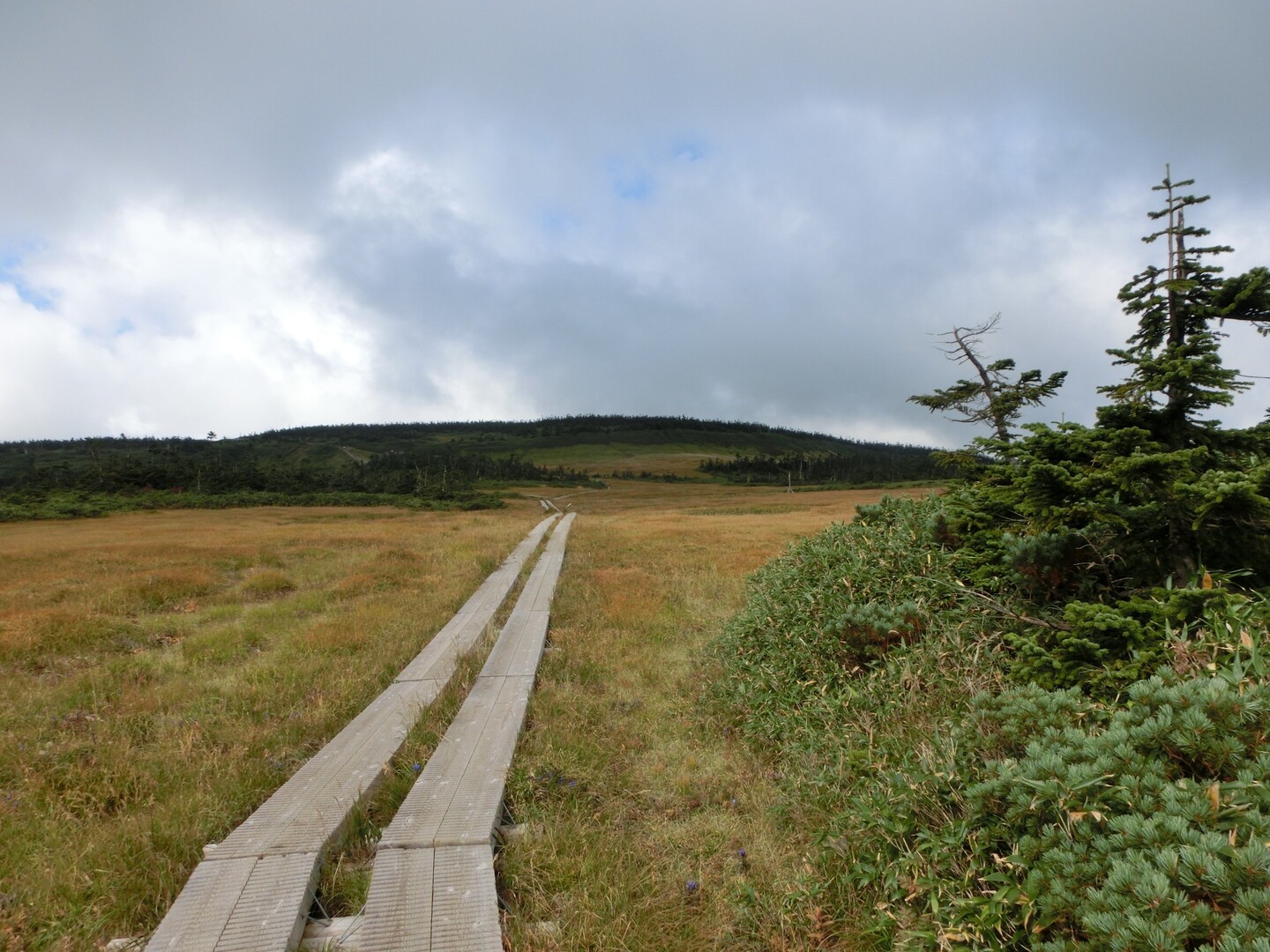 [岩手旅行編2014]八幡平山頂遊歩道（... / 猫息子さんのモーメント | YAMAP / ヤマップ