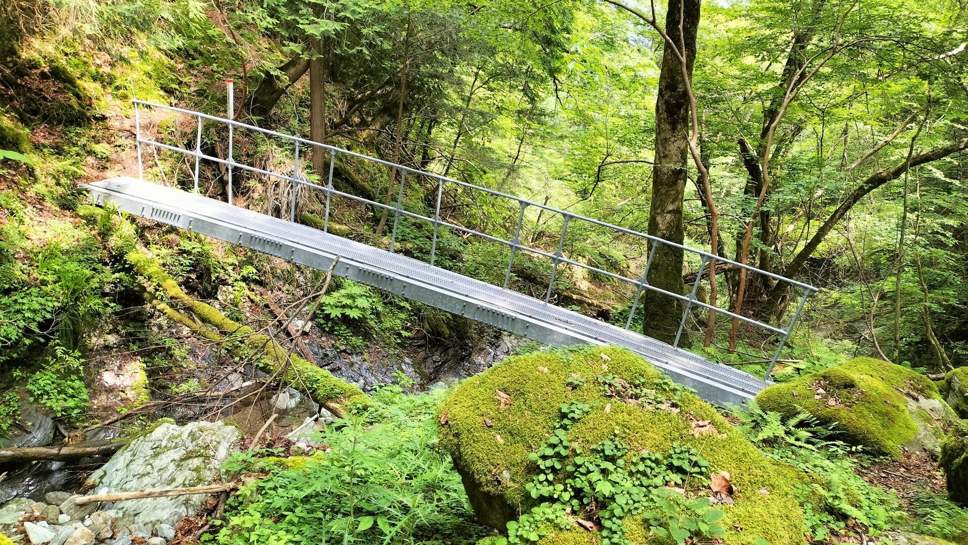 lalaさんの投稿したフィールドメモ | YAMAP / ヤマップ