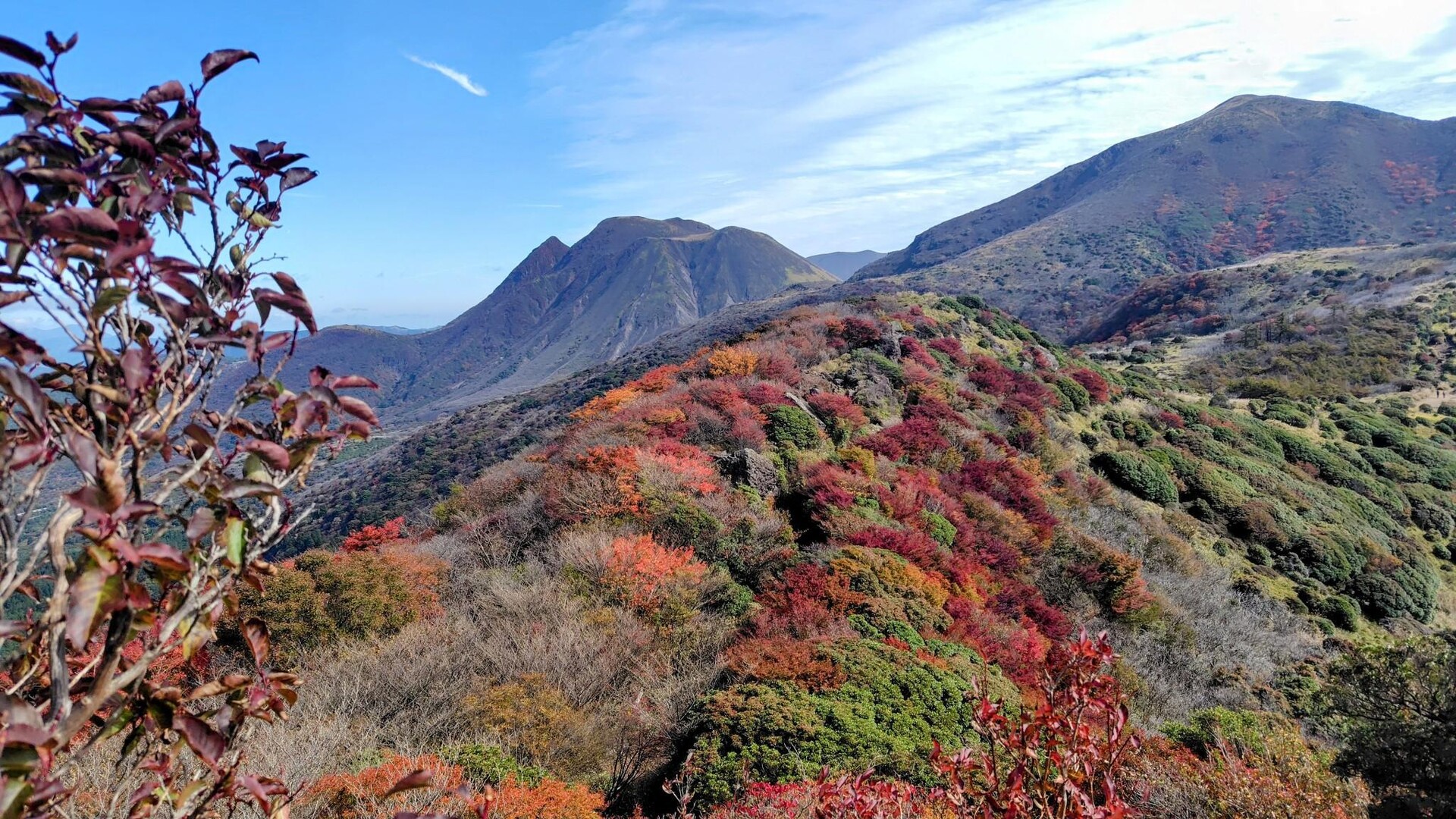 沓掛山・岩井川岳・扇ヶ鼻 / Emily (咲梨) 𖤣𖥧𖥣｡𓂃𓈒さんの九重山（久住山）・大船山・星生山の活動データ | YAMAP / ヤマップ