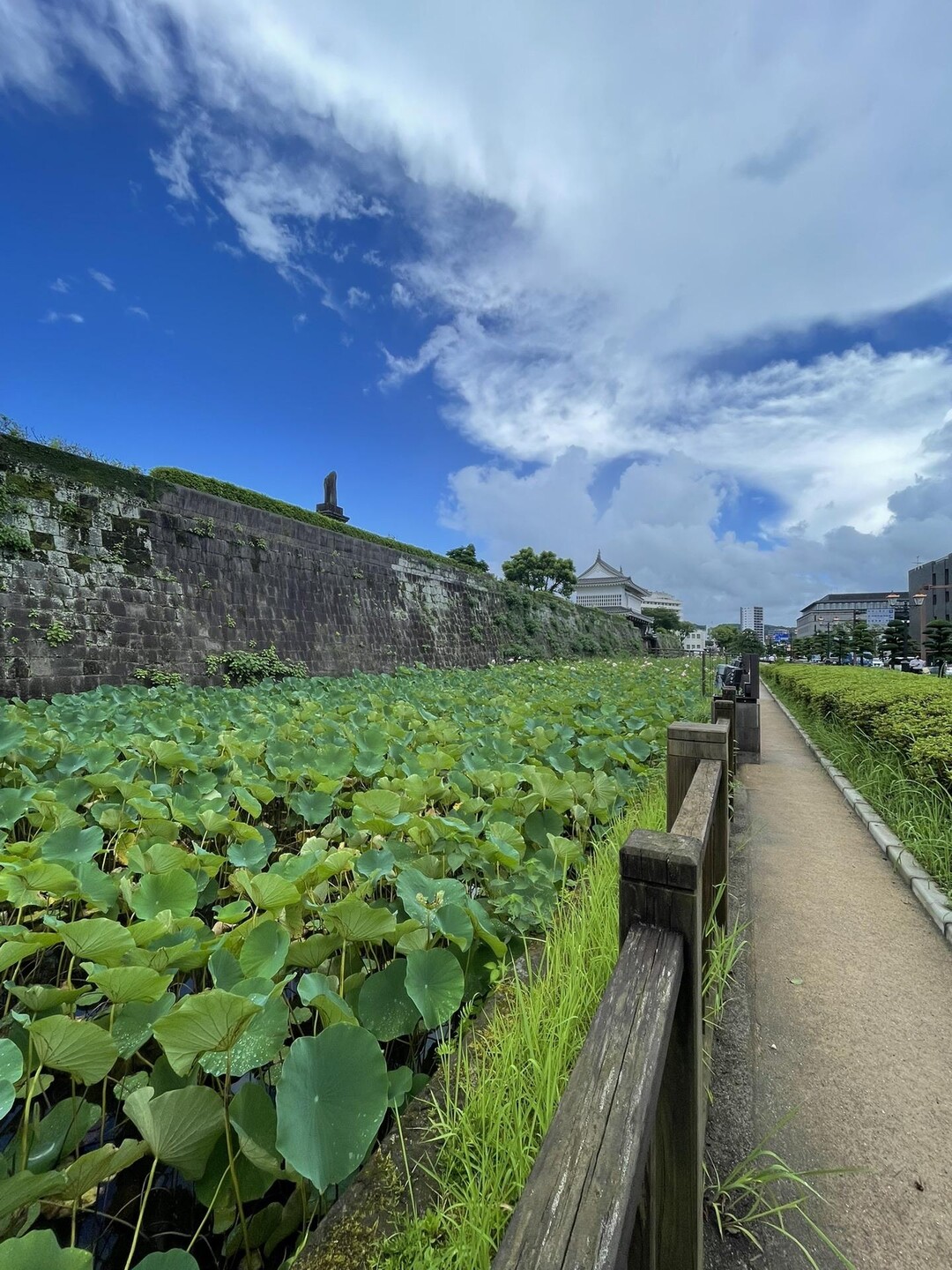 所用のため法務局へ。あら？もうそんな季節... / Naokoさんのモーメント | YAMAP / ヤマップ