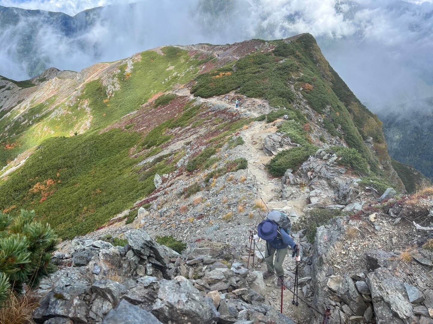前小太郎山・小太郎山・北岳 / Ikukoさんの北岳・間ノ岳・農鳥岳の活動データ | YAMAP / ヤマップ