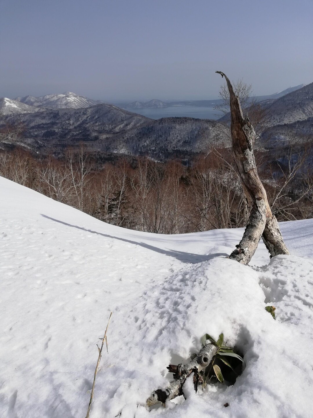 様茶平 / aripapaさんの様茶平の活動データ | YAMAP / ヤマップ