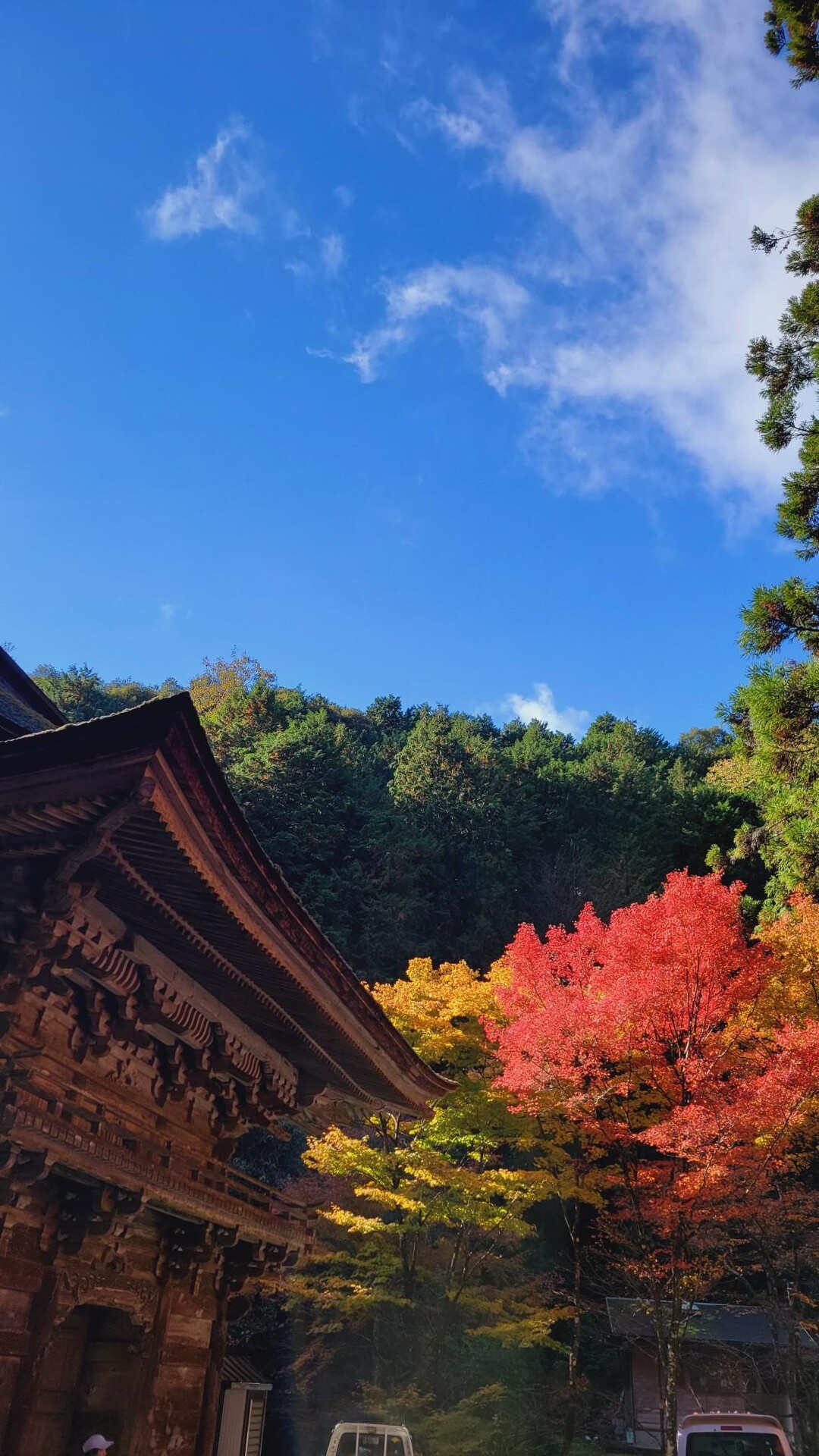 天王山 / yellさんの天王山・誕生山の活動データ | YAMAP / ヤマップ