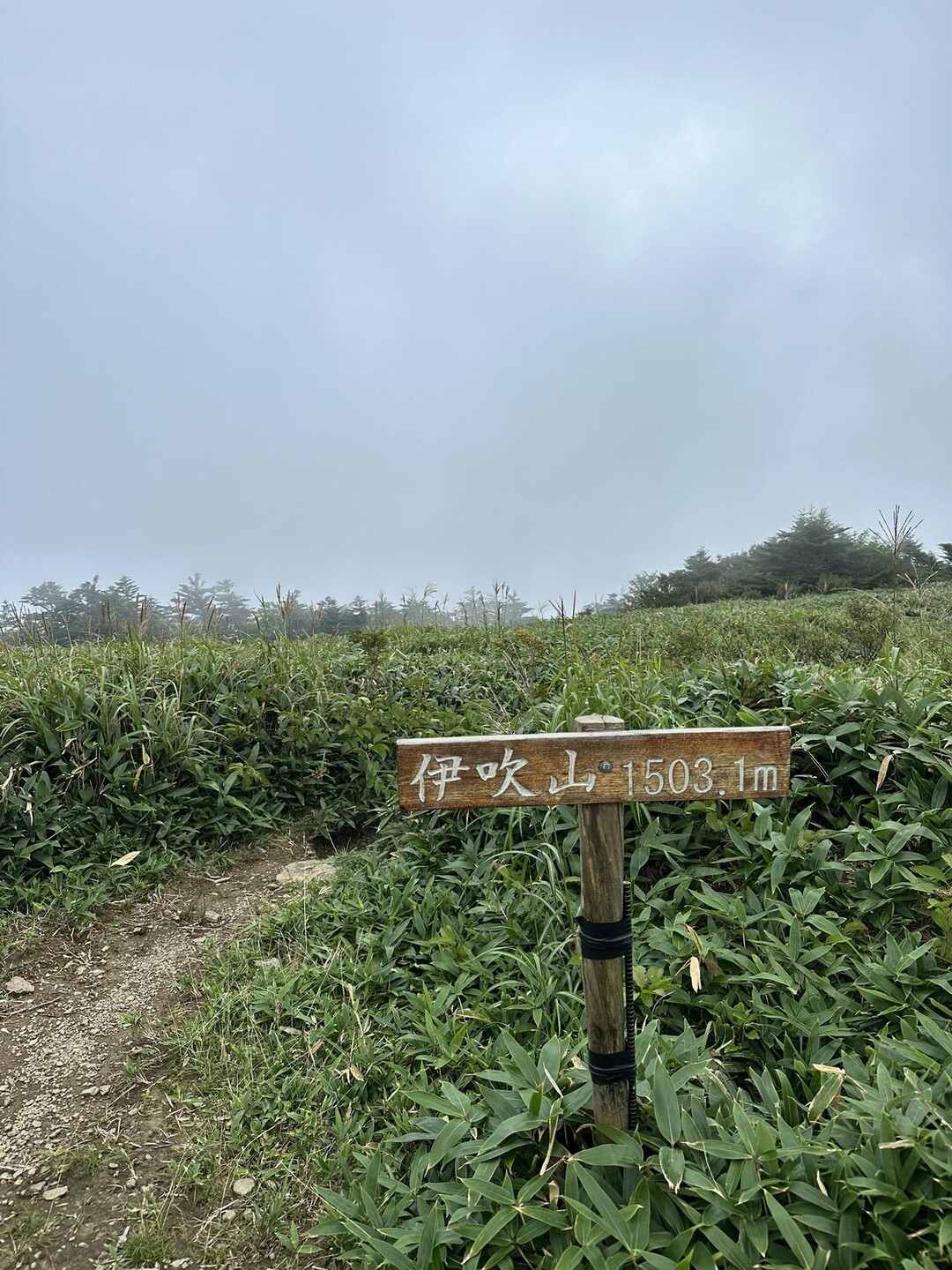 おかわりでもう一山 in 伊吹山 / shuyaさんの瓶ヶ森・伊予富士の活動データ | YAMAP / ヤマップ