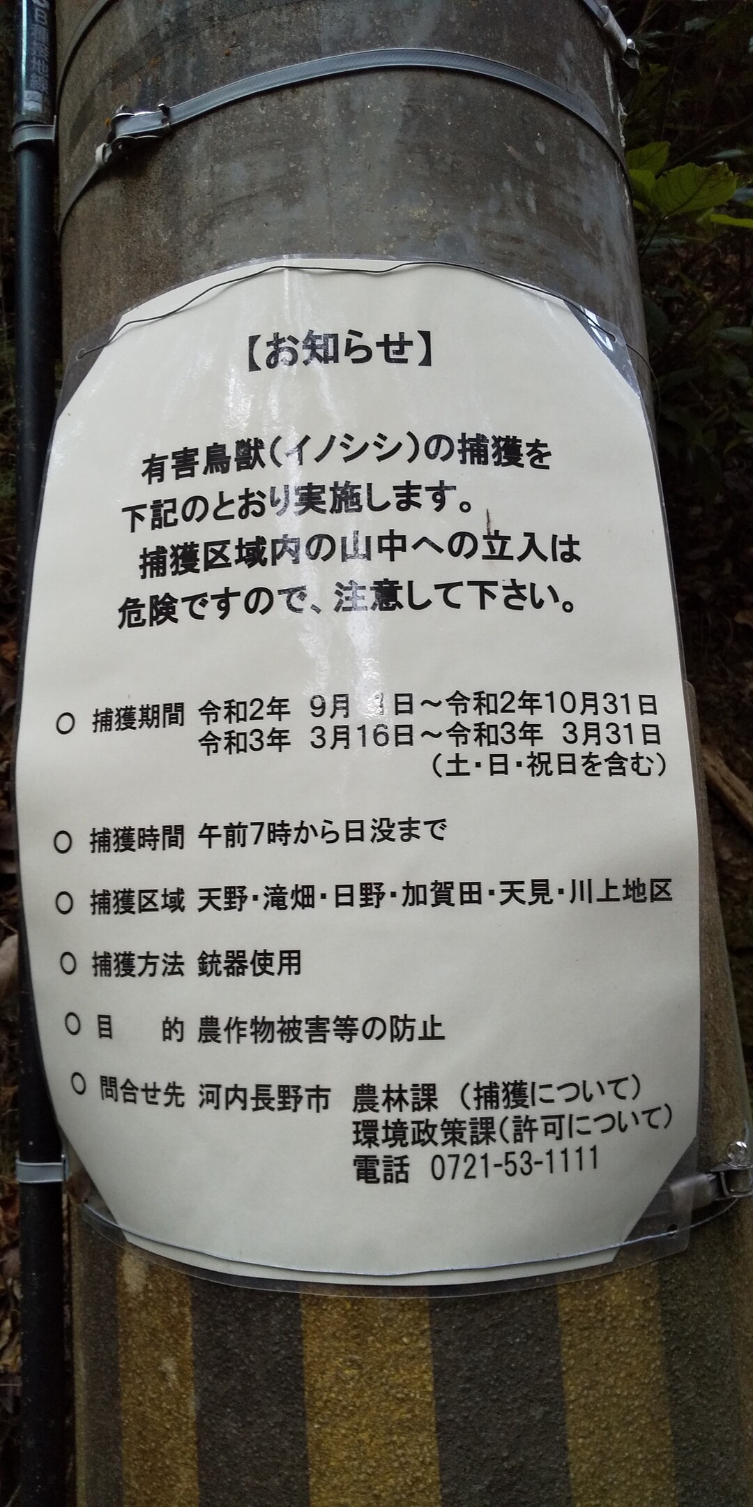 大阪府河内長野市 害獸捕獲のご注意 3月... / yukky hirohさんのモーメント | YAMAP / ヤマップ