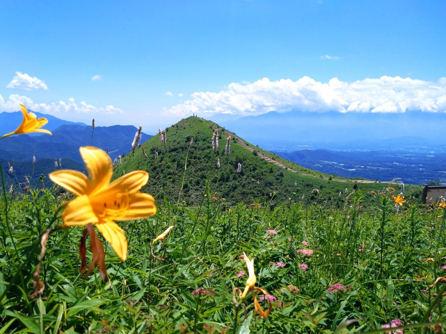 🚃でGO！飯盛山 / micoさんの飯盛山の活動データ | YAMAP / ヤマップ