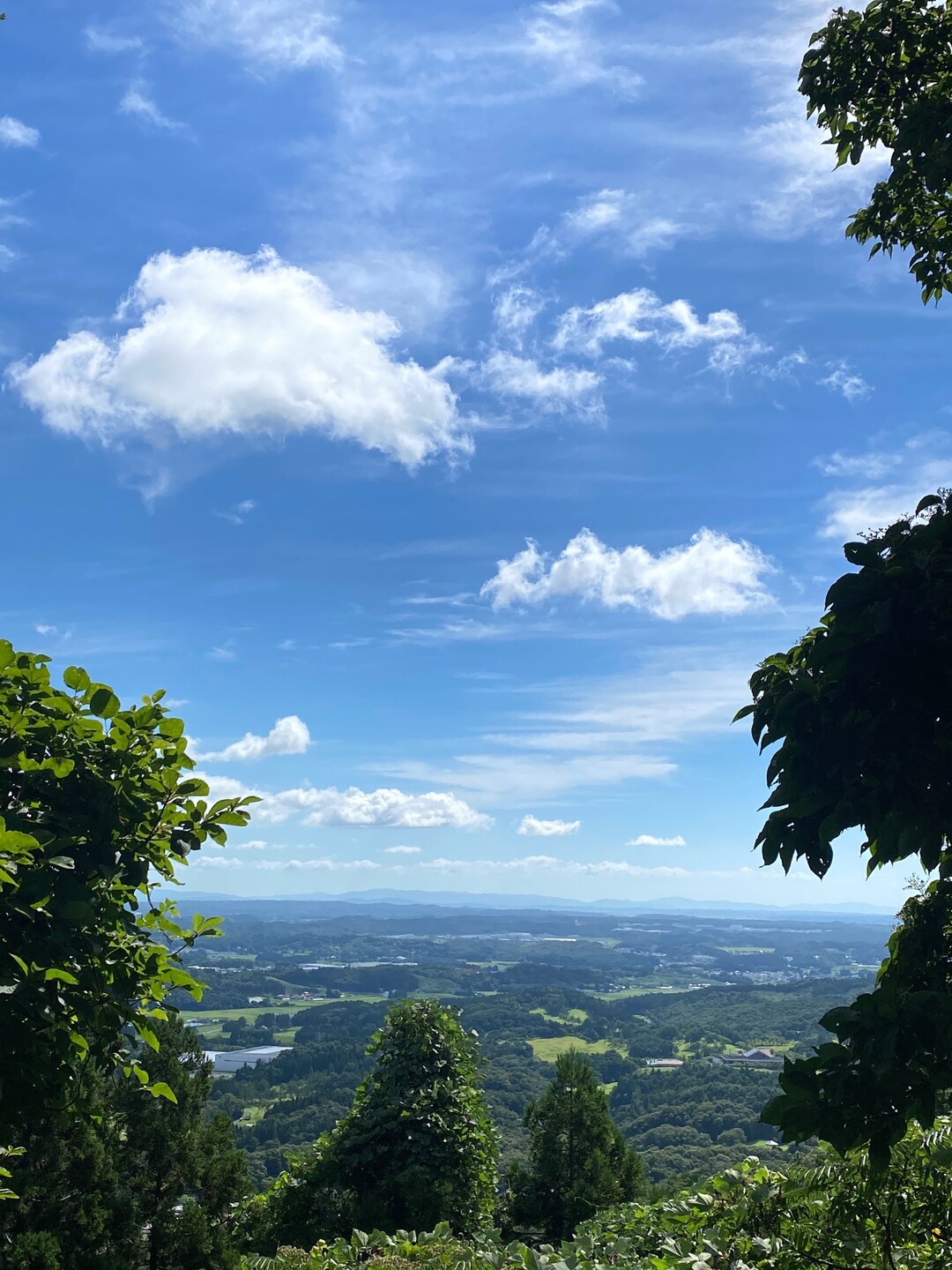 達居森 / kung-fuさんの七ツ森の活動データ | YAMAP / ヤマップ