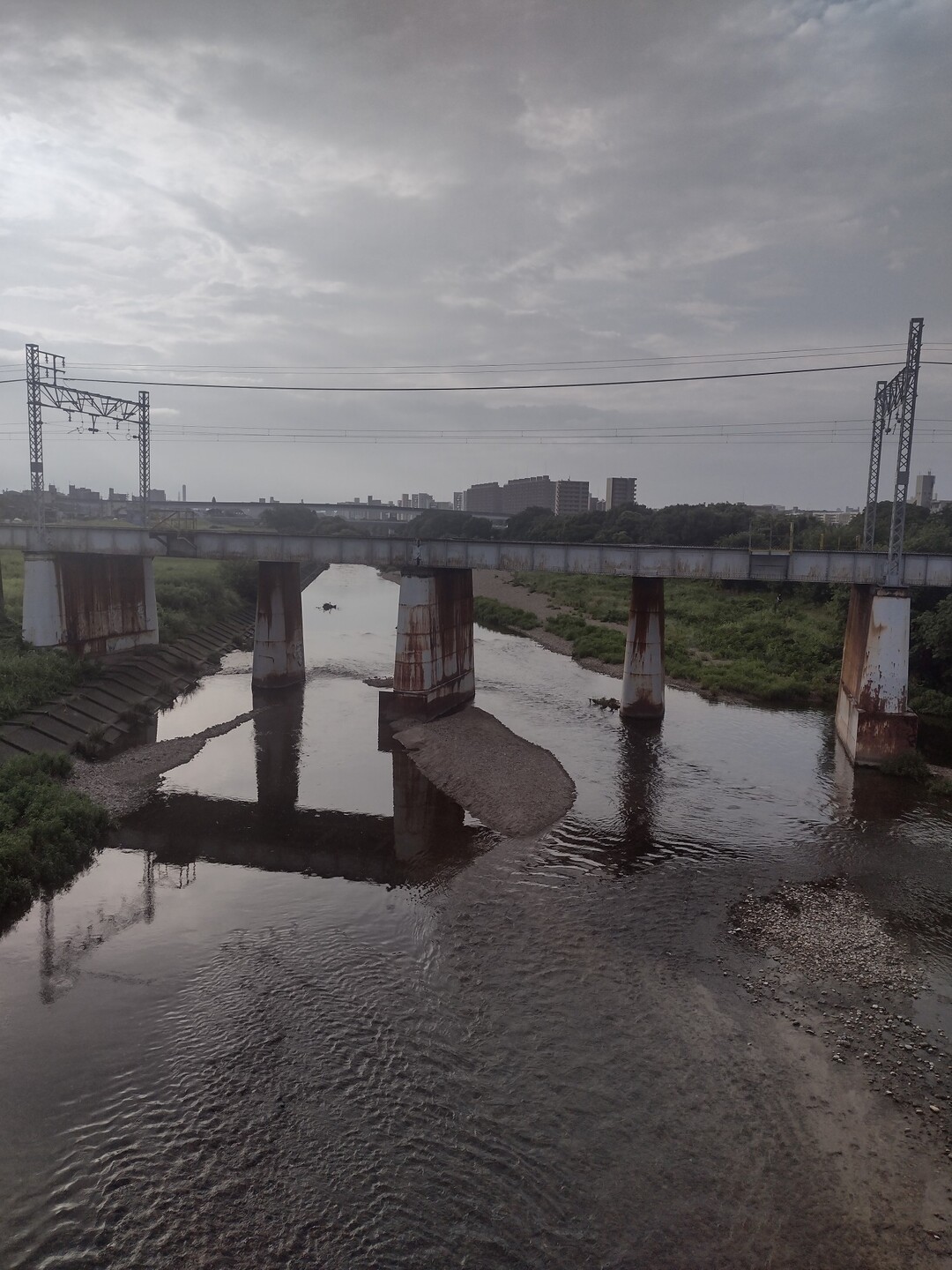朝ジョギング🏃 矢田川はいつもの水量で... / sin-yaさんのモーメント | YAMAP / ヤマップ