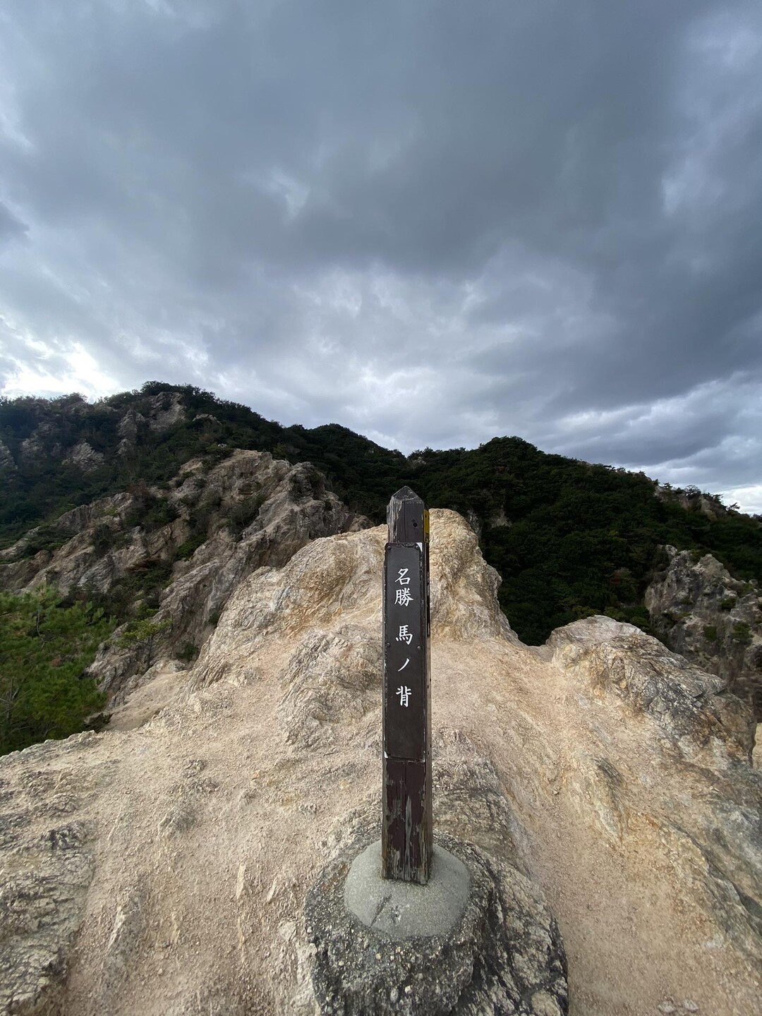 須磨アルプス🌊馬の背🐎 / tink chan さんの六甲山・長峰山・摩耶山の活動データ | YAMAP / ヤマップ