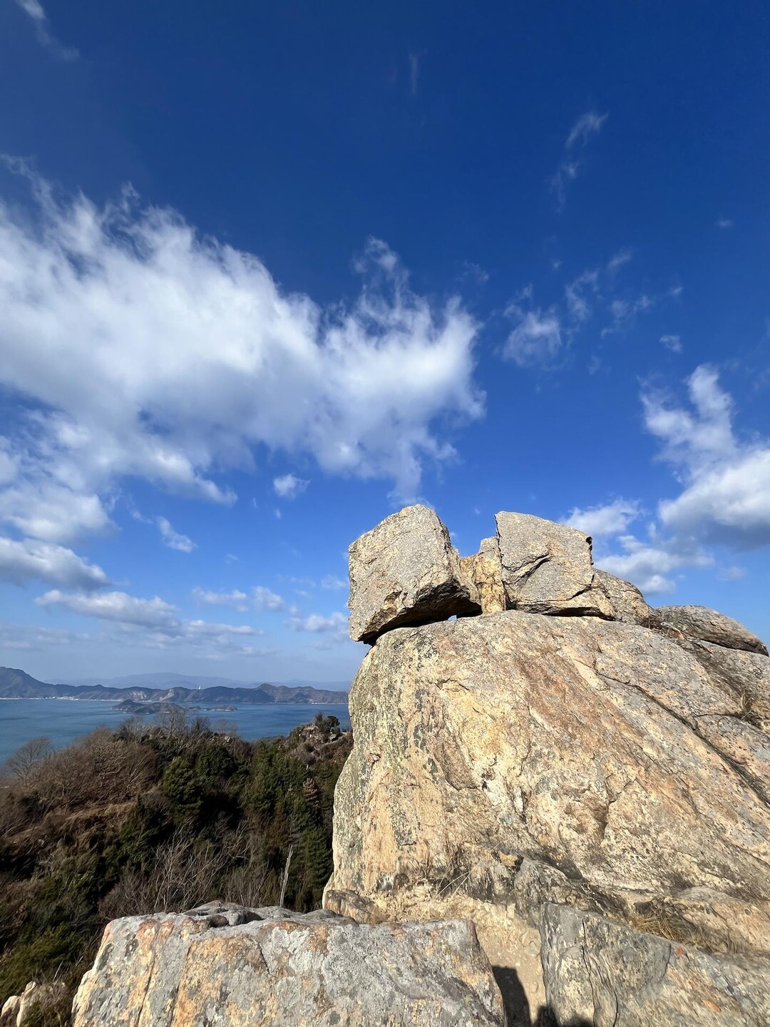 安神山・鷲ヶ頭山 / YUKAさんの鷲ヶ頭山・安神山の活動データ | YAMAP / ヤマップ