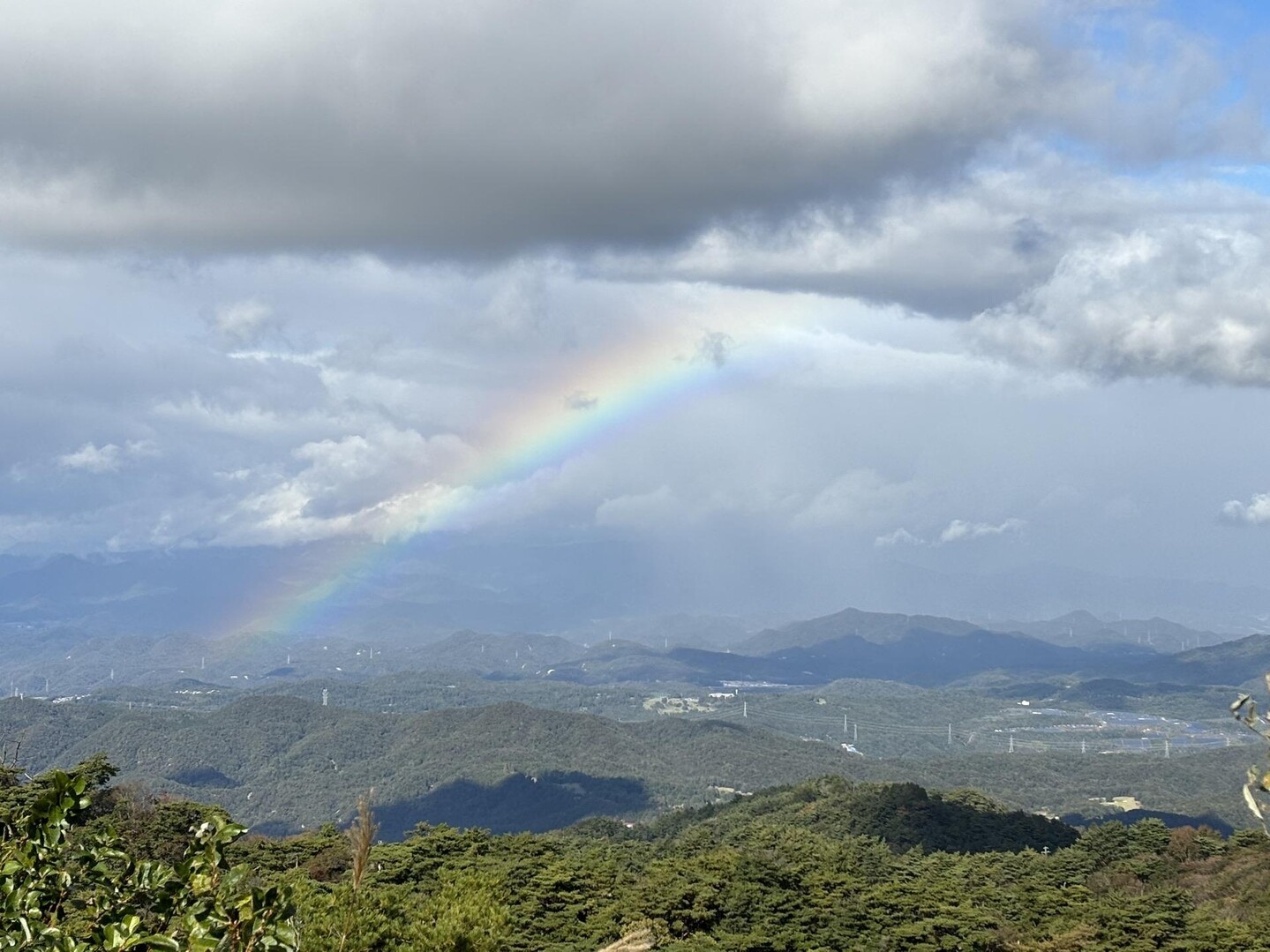 六甲山 / 3104（YUKAKO）さんの六甲山・長峰山・摩耶山の活動データ | YAMAP / ヤマップ