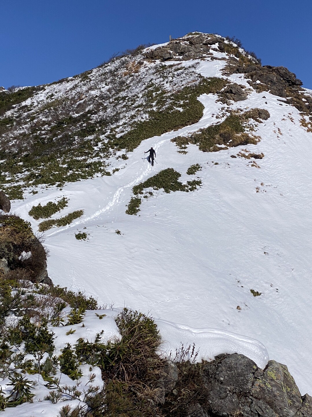 谷川岳 天神平〜 / へなちょもらんまさんの谷川岳・七ツ小屋山・大源太山の活動データ | YAMAP / ヤマップ