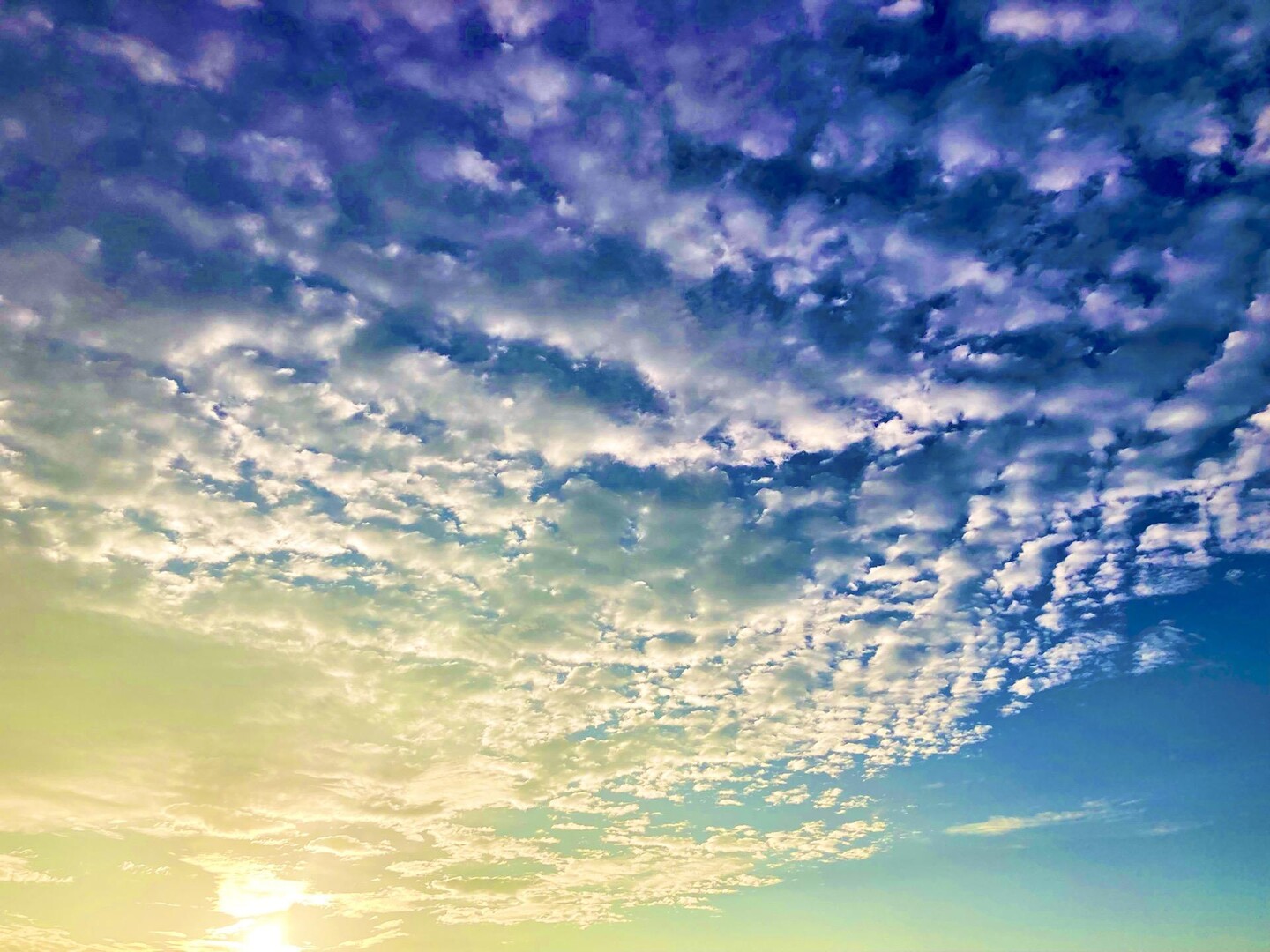 竈門山 。 / RIKI ⭐︎★さんの宝満山・三郡山・若杉山の活動データ | YAMAP / ヤマップ