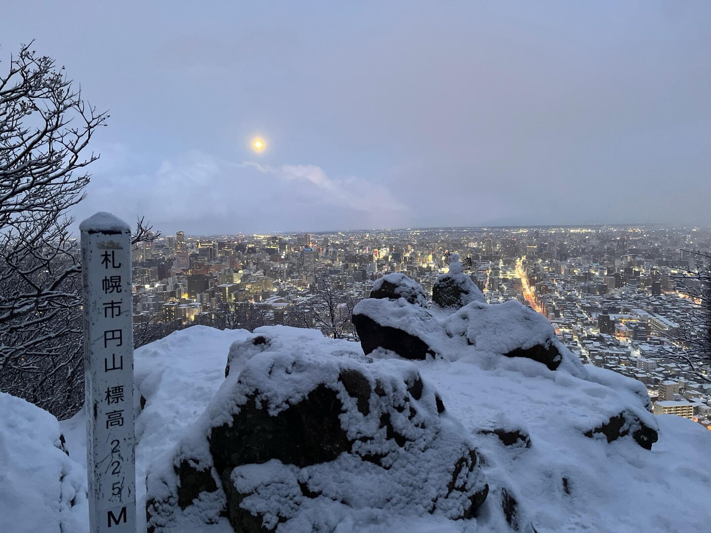 円山 2024-12-15 / muraさんの三角山・大倉山・円山の活動データ | YAMAP / ヤマップ