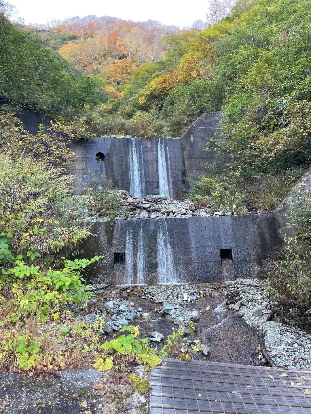 akiさんの投稿したフィールドメモ | YAMAP / ヤマップ