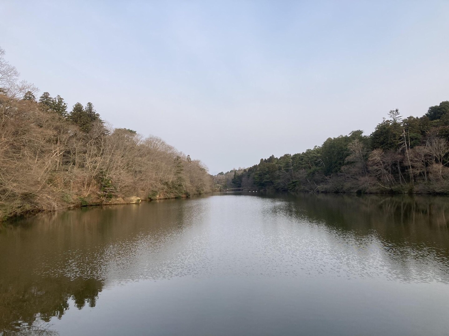 おはようございます^ ^ 今朝は少し薄... / OBsunさんのモーメント | YAMAP / ヤマップ