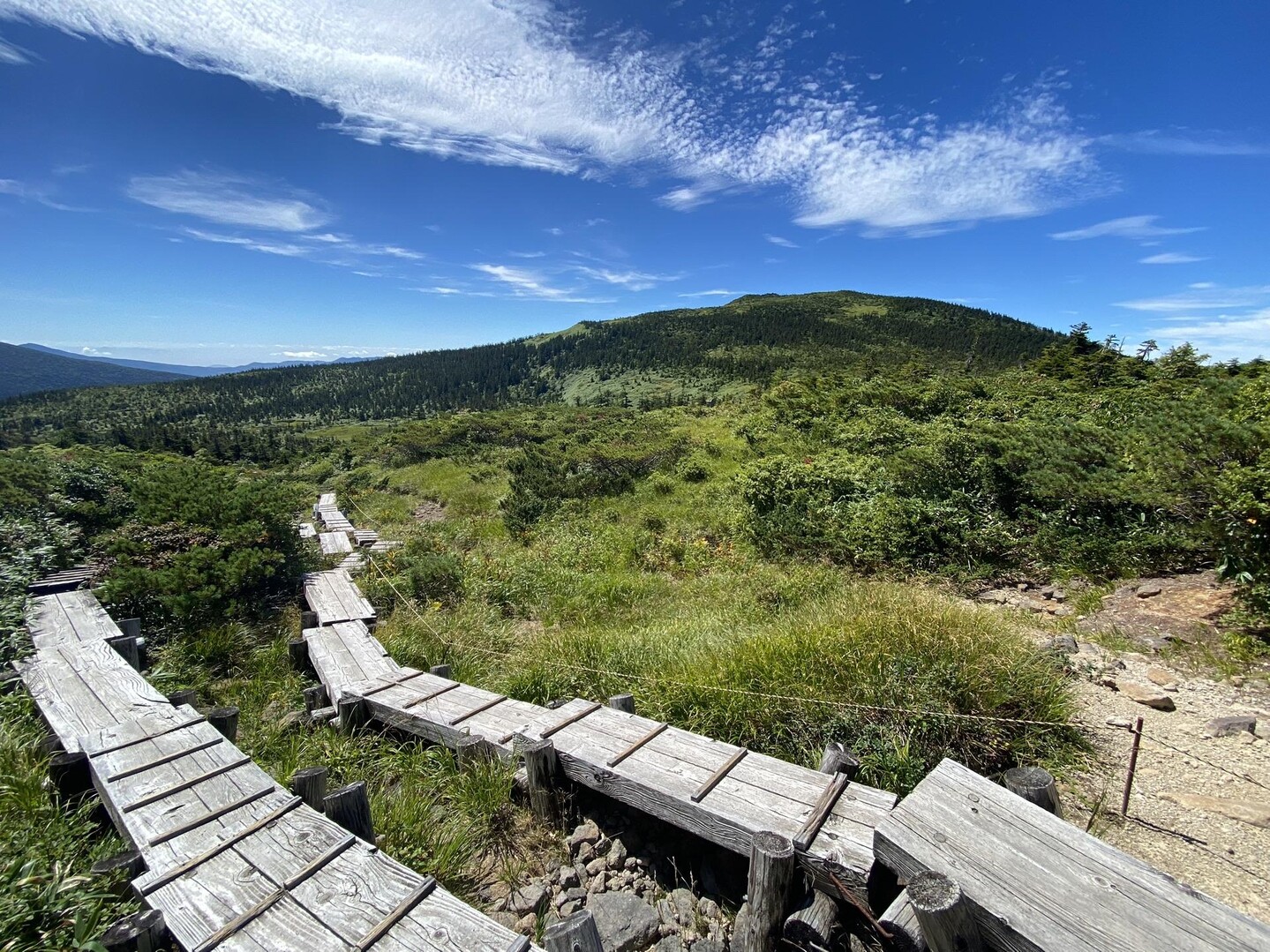 西吾妻山 / MJさんの吾妻山・一切経山の活動データ | YAMAP / ヤマップ