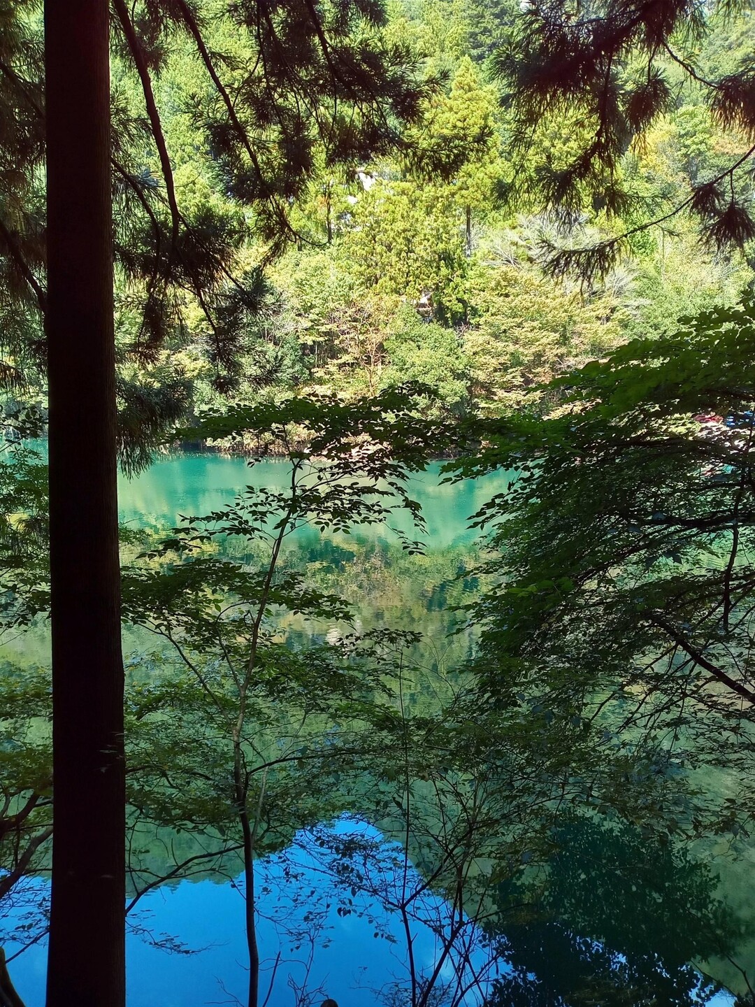 2023/10/20 奥多摩〜鳩の巣トレ... / 海太郎山太郎さんのモーメント | YAMAP / ヤマップ