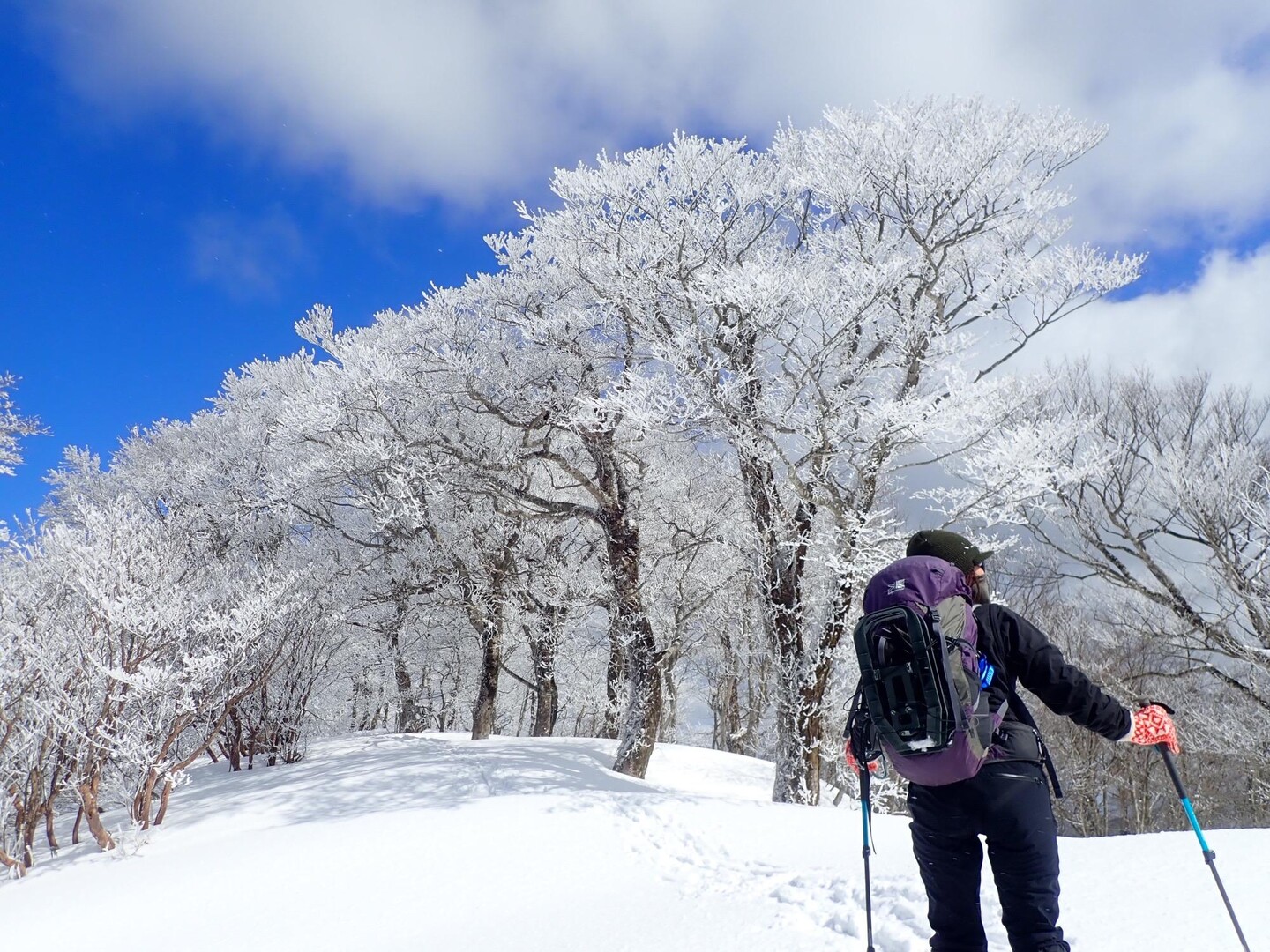 西毛無山〜歪なハートの軌跡 ️ / SACHIさんの毛無山の活動日記 | YAMAP / ヤマップ