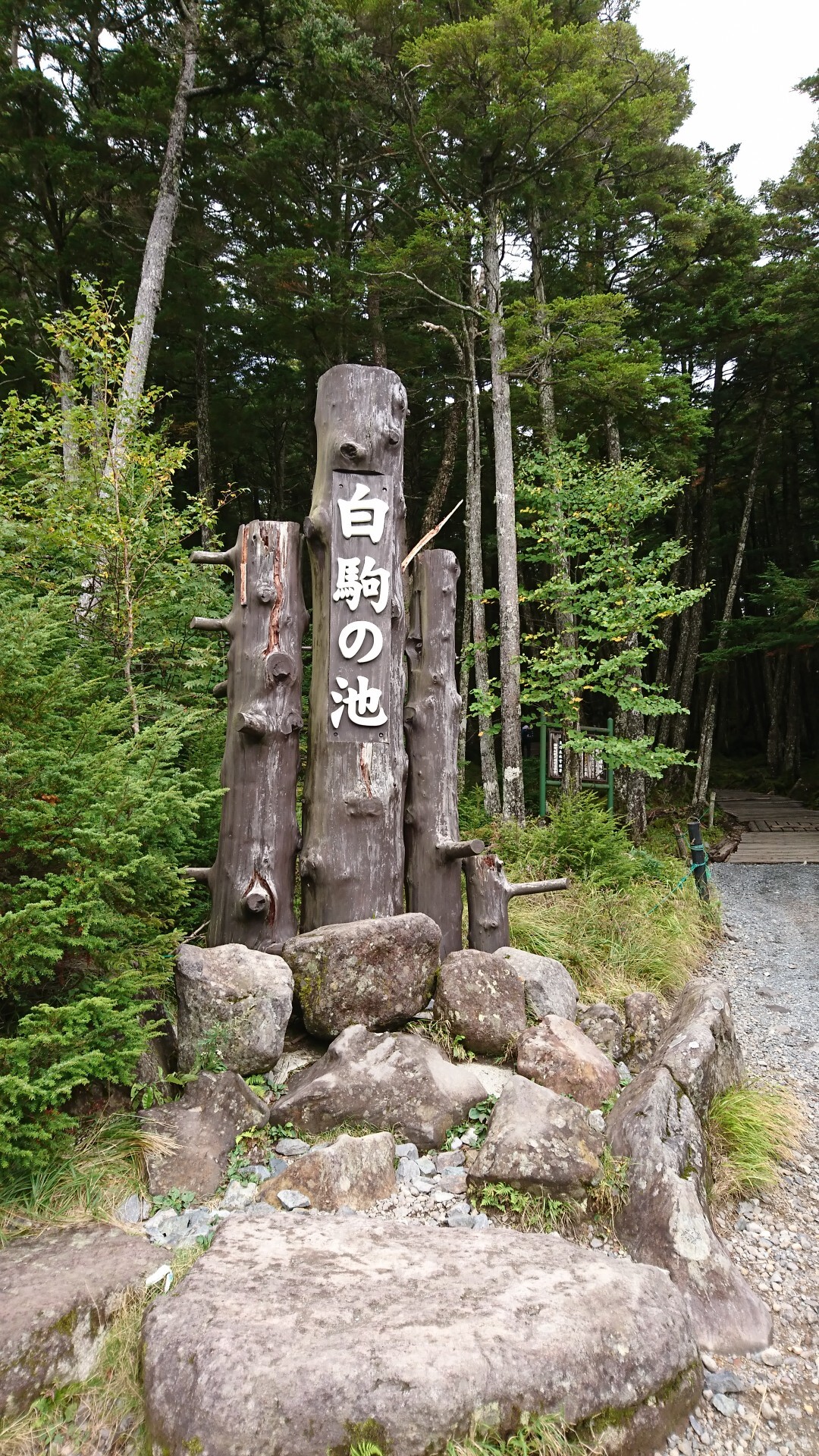 白駒の池⭐まさにジブリの世界🤗 / あきpapaさんのモーメント | YAMAP / ヤマップ