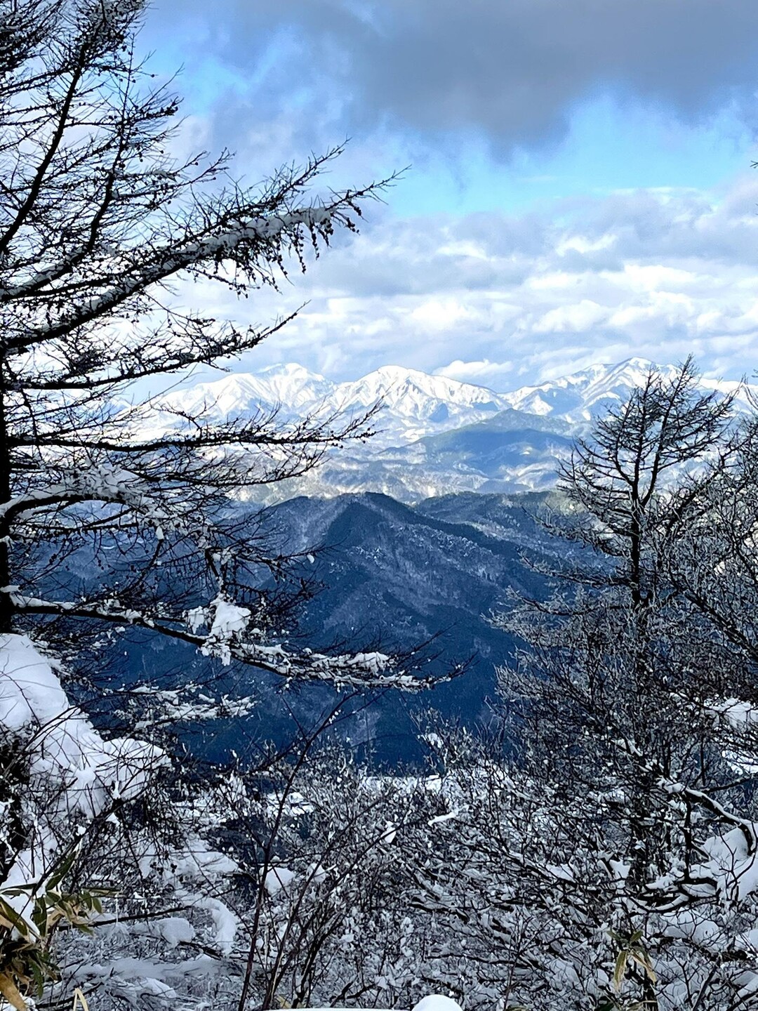 櫃ヶ山 / Shi Roさんの櫃ヶ山・星山の活動データ | YAMAP / ヤマップ