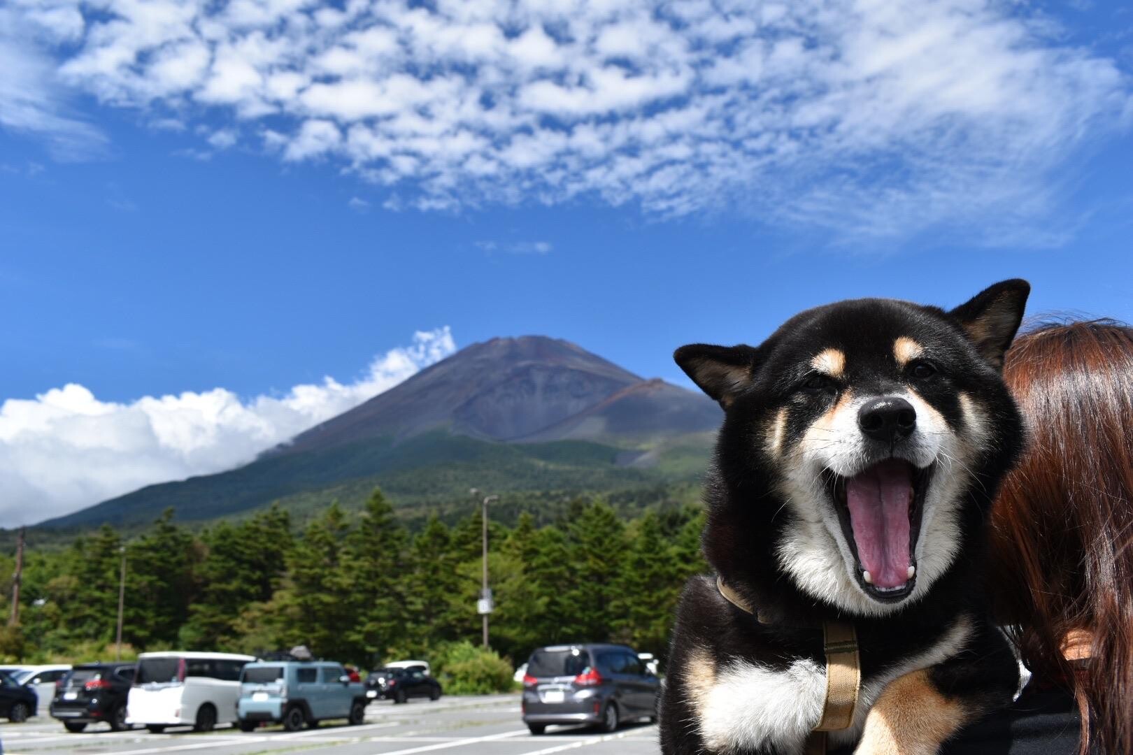 富士山 水ヶ塚から御胎内 / ta614さんの富士山の活動データ | YAMAP / ヤマップ