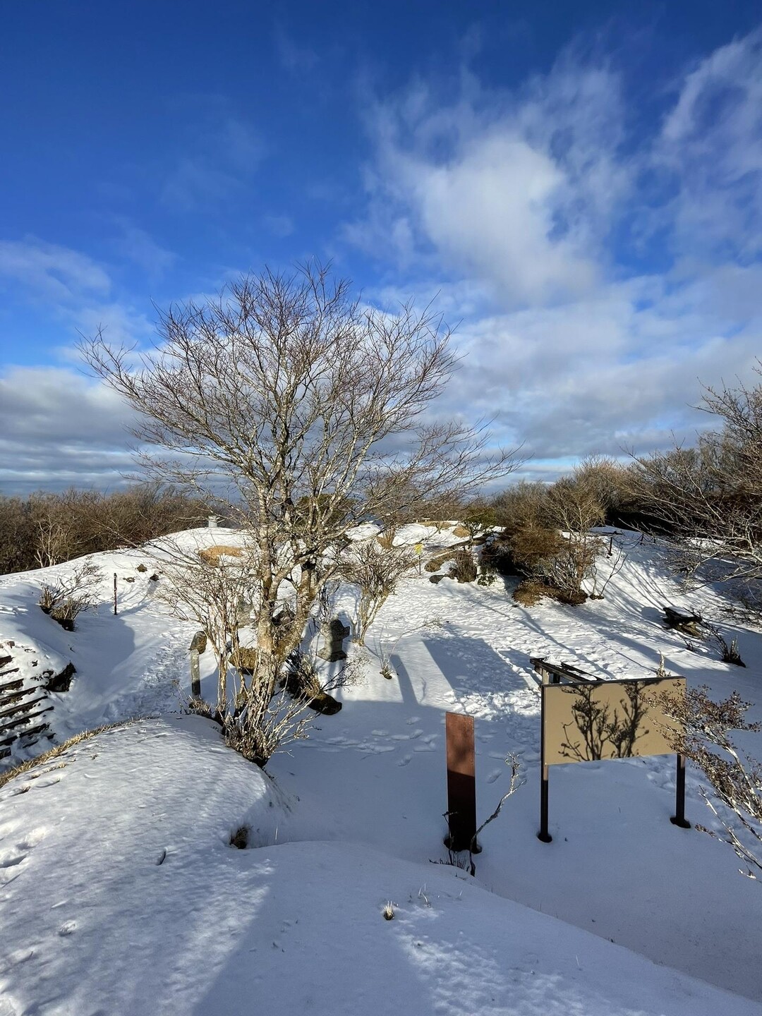 霊山南峰・霊山 / take4さんの霊山・西教山の活動データ | YAMAP / ヤマップ
