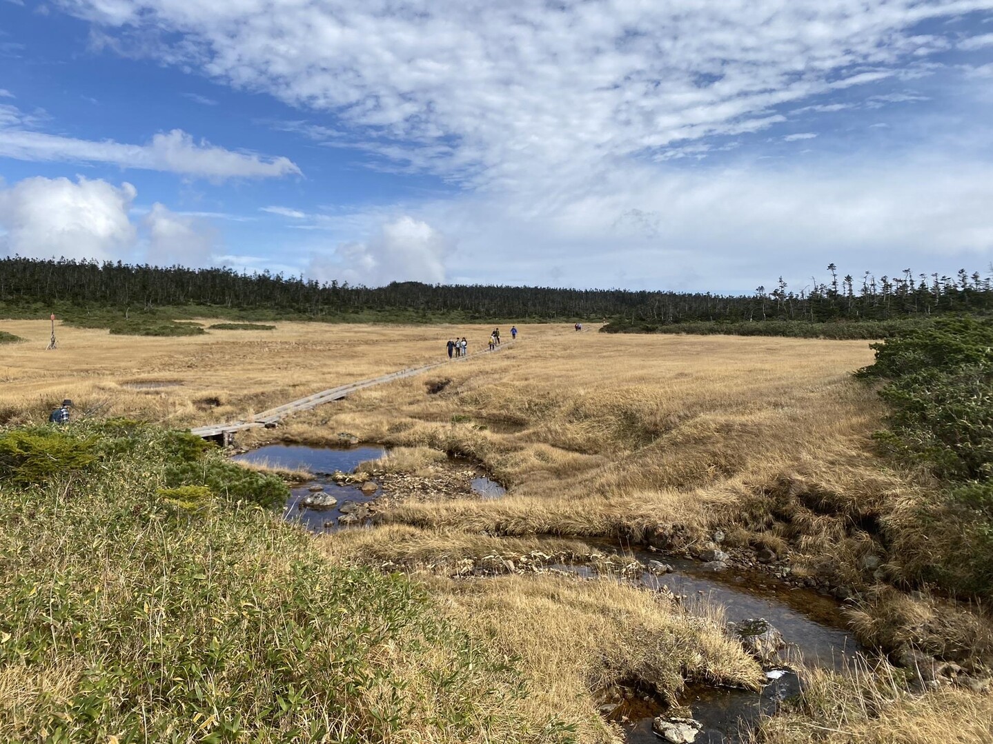 八幡平 / tuneQさんの八幡平・源太森・安比岳の活動データ | YAMAP / ヤマップ