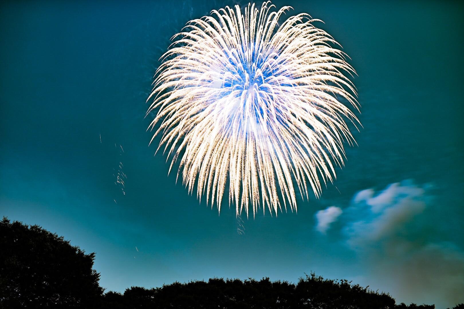 昭和記念公園花火 / GIさんのモーメント | YAMAP / ヤマップ