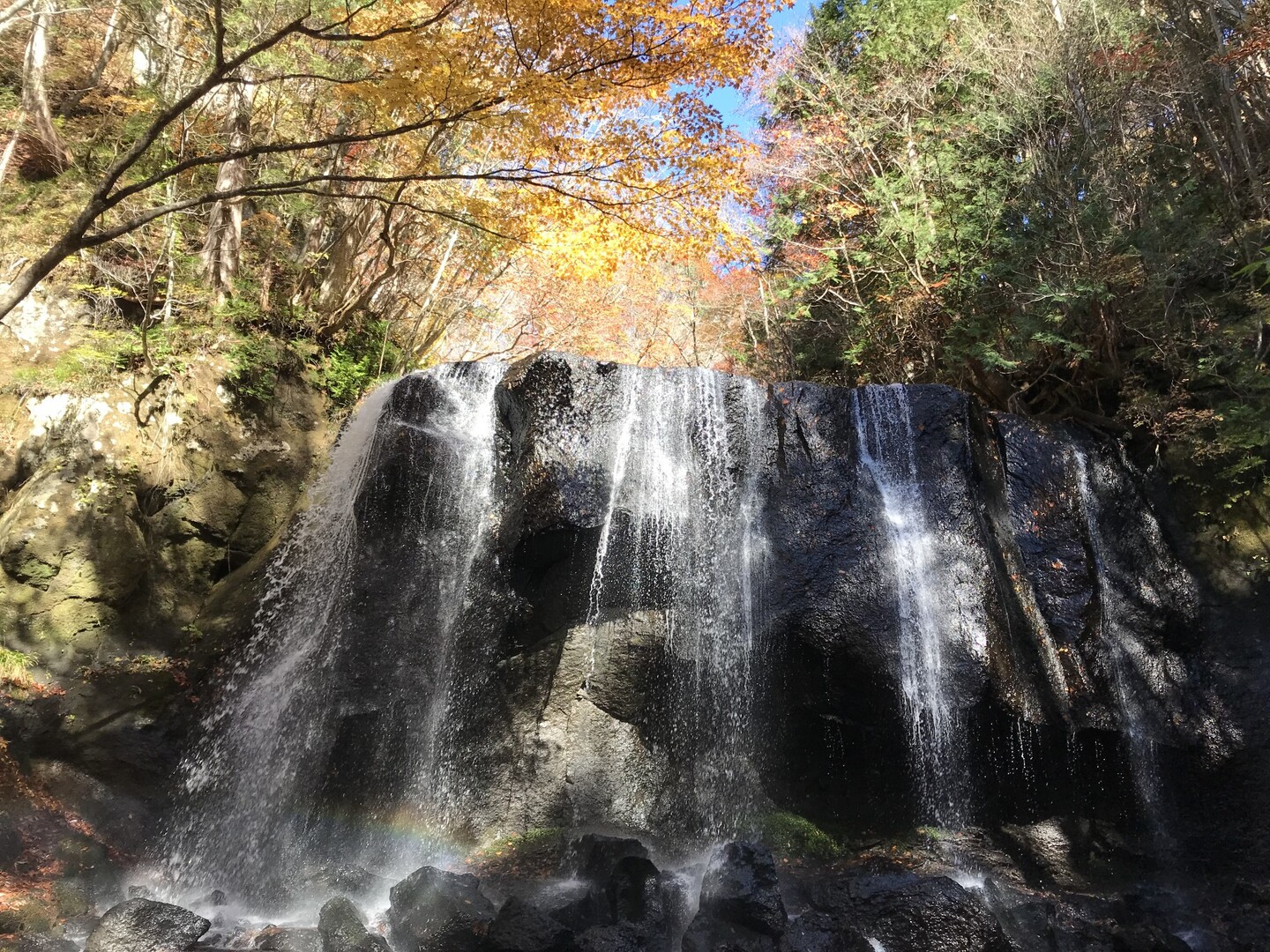 2021.03.24(水) 21:33 / ケロケロ🐸🐸🐸さんのモーメント | YAMAP / ヤマップ