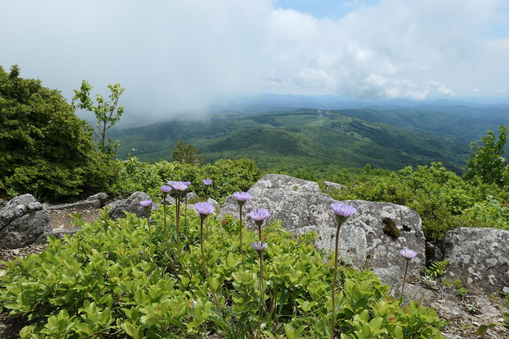 姫神山 / mirinさんの姫神山の活動データ | YAMAP / ヤマップ