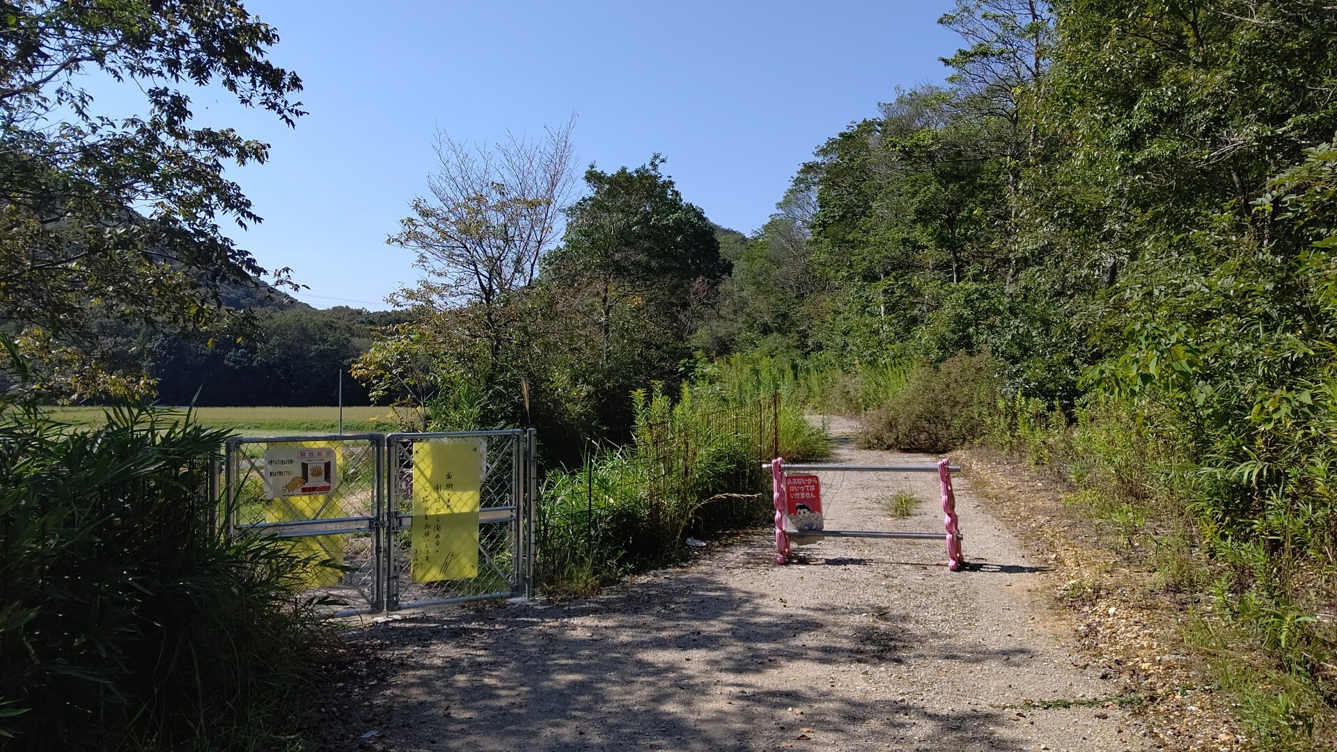 shigさんの投稿したフィールドメモ | YAMAP / ヤマップ