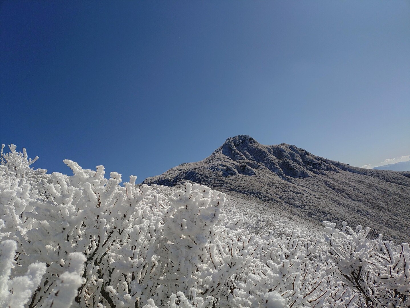 大船山 / Na-oさんの九重山（久住山）・大船山・星生山の活動データ | YAMAP / ヤマップ