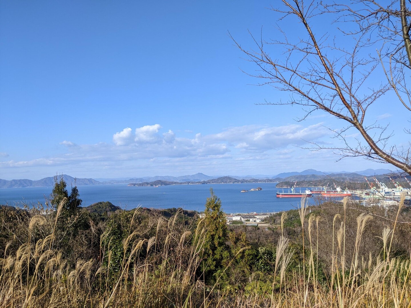 若いもん山 / GS子ちゃん(ジスコちゃん)さんの四国遍路その15の活動データ | YAMAP / ヤマップ