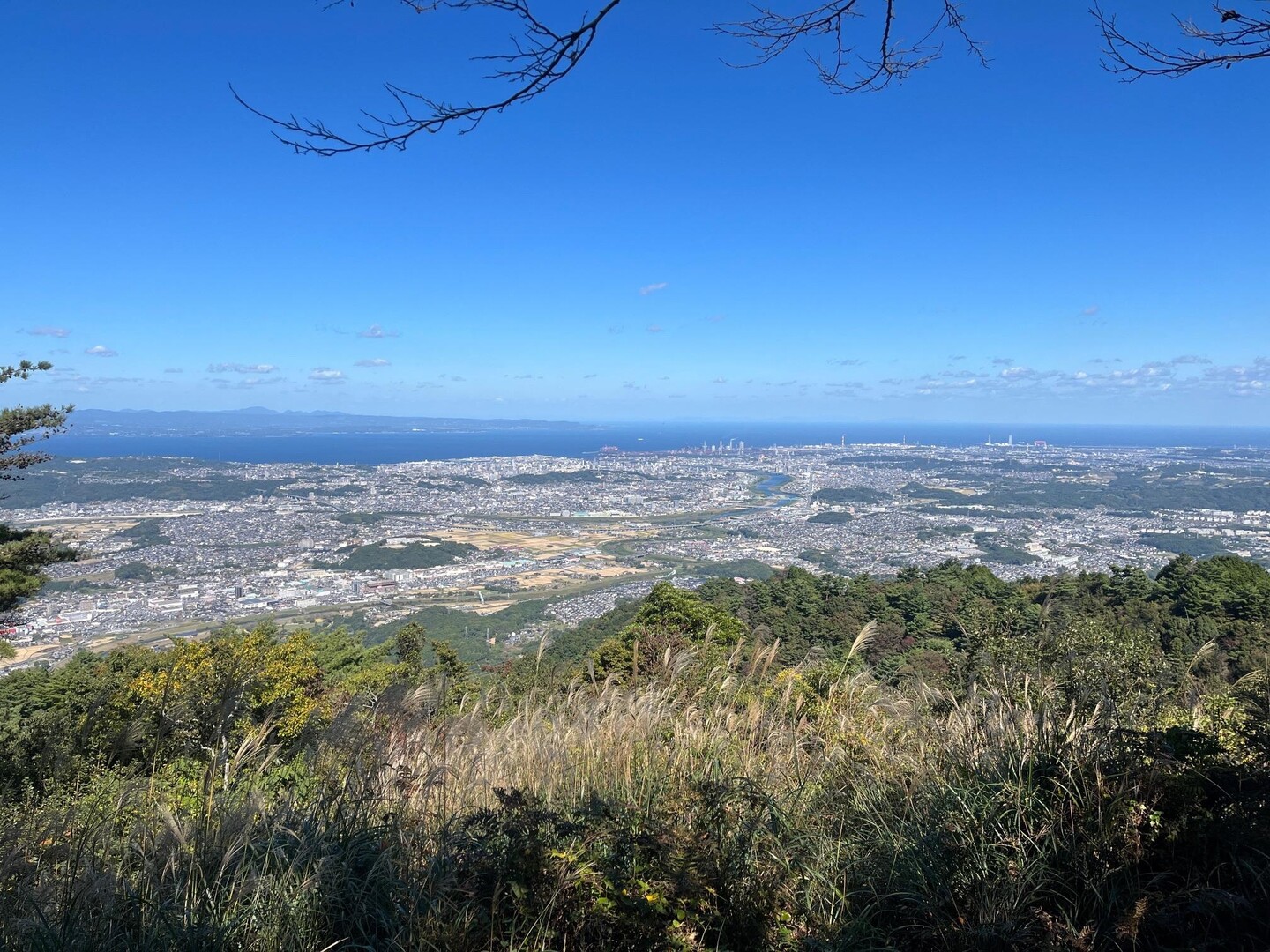 霊山⛰️飛来山（内稙田登山口から） / Tazさんの障子岳・霊山・飛来山・本宮山の活動データ | YAMAP / ヤマップ