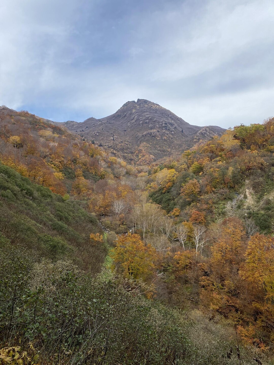 火打山～焼山 / BMさんの妙高山・火打山の活動データ | YAMAP / ヤマップ