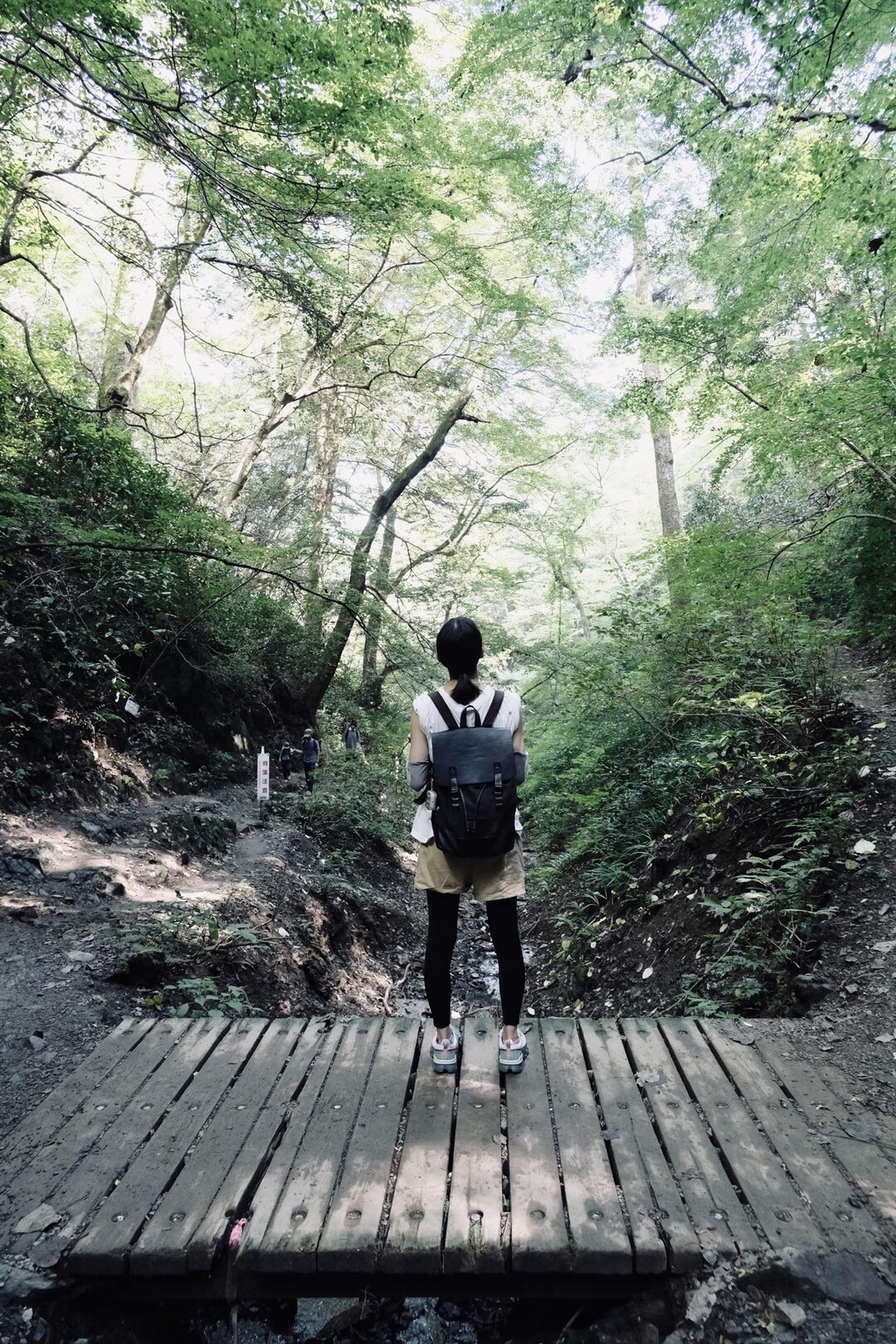 高尾山(標高599m) / mikutactionさんのウォーキングの活動データ | YAMAP / ヤマップ