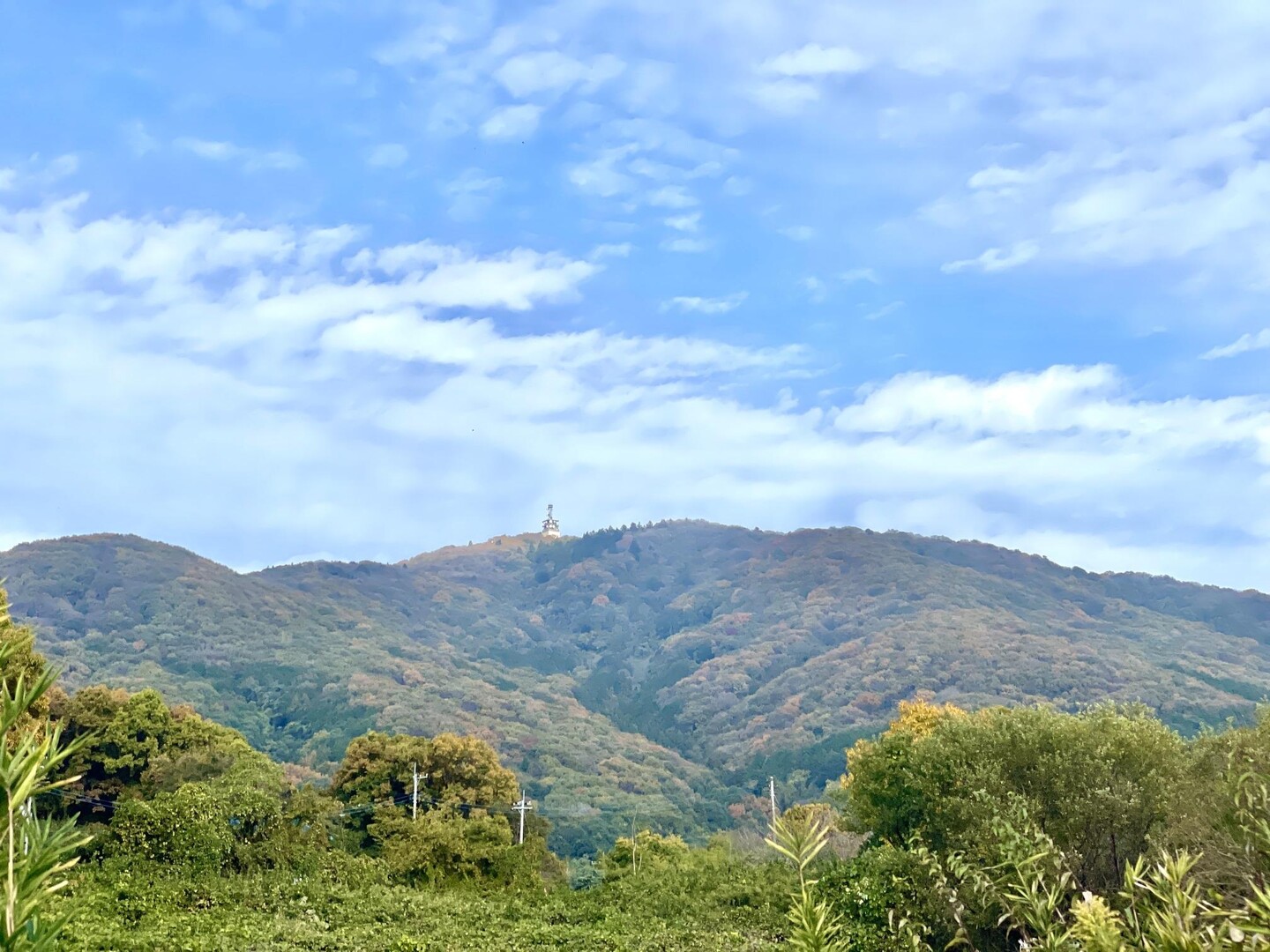 尖浅間山・宝篋山・鬼越山・小町山・富岡山 / shot.7898さんの宝篋山・富岡山の活動データ | YAMAP / ヤマップ