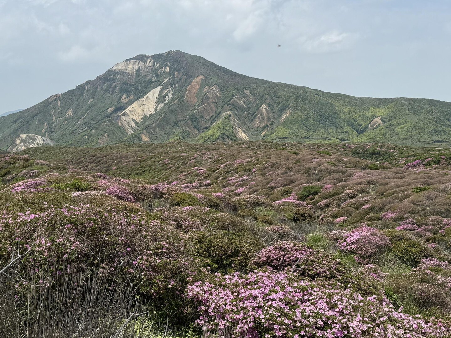 皿山 / Kannaさんの阿蘇山・高岳・根子岳の活動データ | YAMAP / ヤマップ