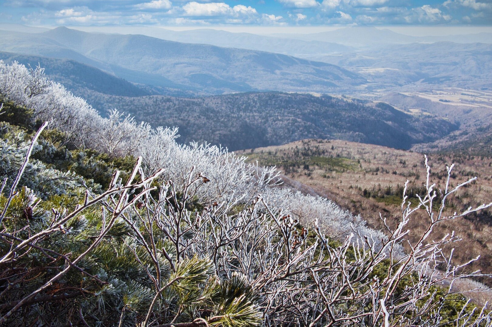 9合目は樹氷ロード＠徳舜瞥山 / 😺Sammyさんの徳舜瞥山・ホロホロ山の活動データ | YAMAP / ヤマップ