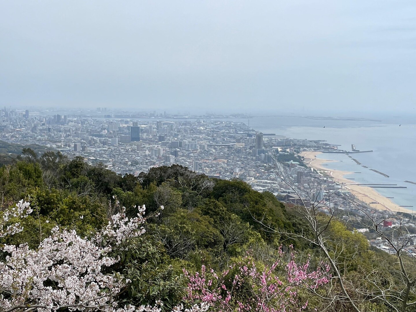 鉢伏山・旗振山・鉄拐山・高倉山 / honensanさんの六甲山・長峰山・摩耶山の活動データ | YAMAP / ヤマップ
