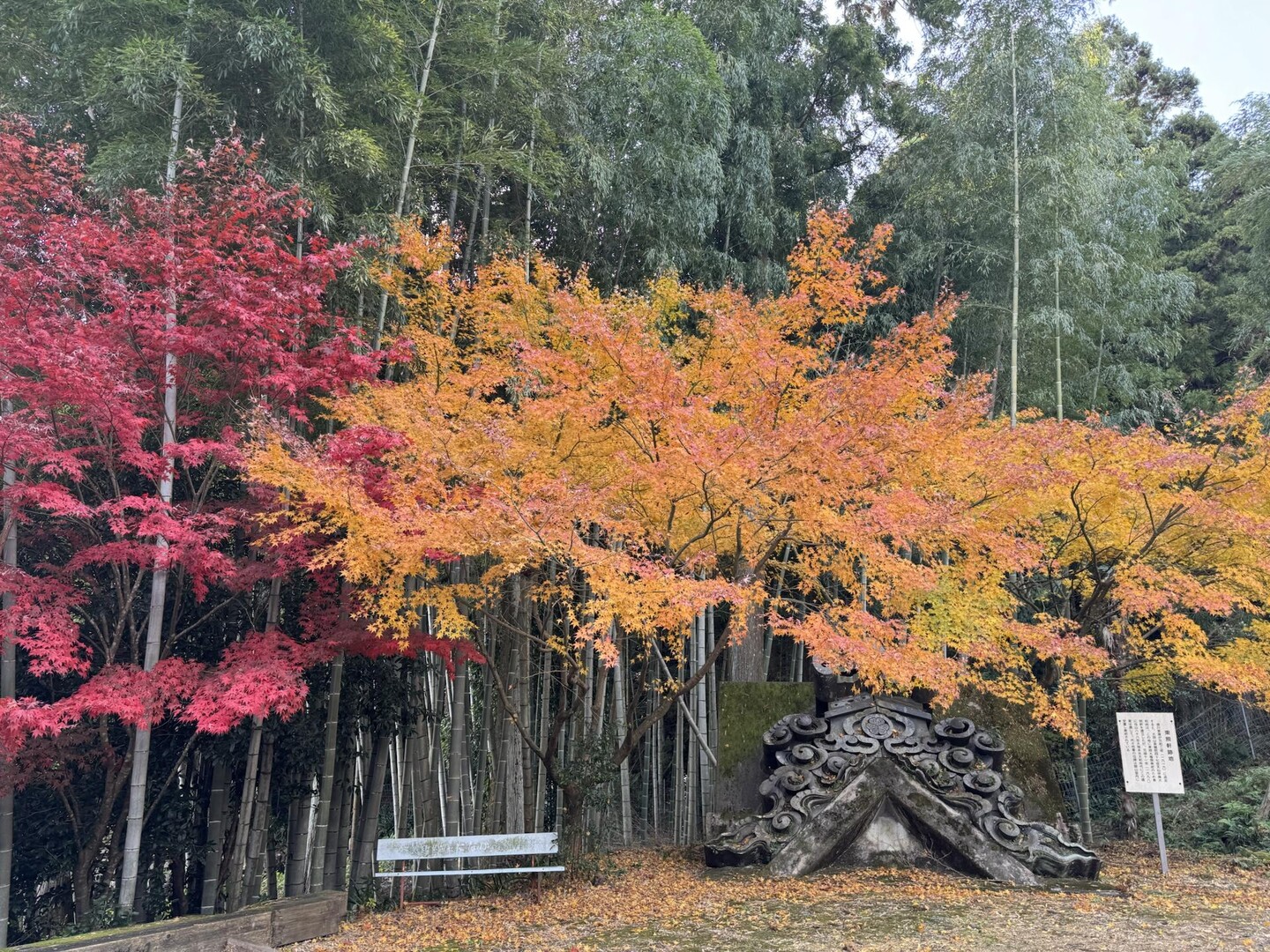 大洞山 / monさんの本宮山・大日山・風頭山の活動データ | YAMAP / ヤマップ