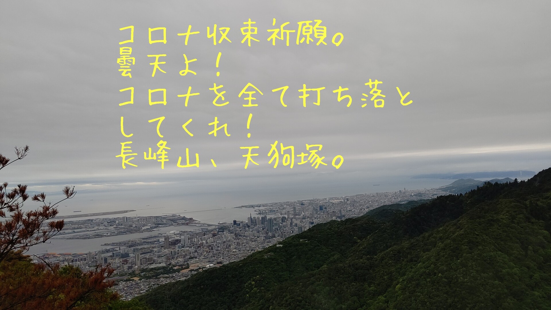 2021.05.16(日) 02:10 / トータスさんのモーメント | YAMAP / ヤマップ